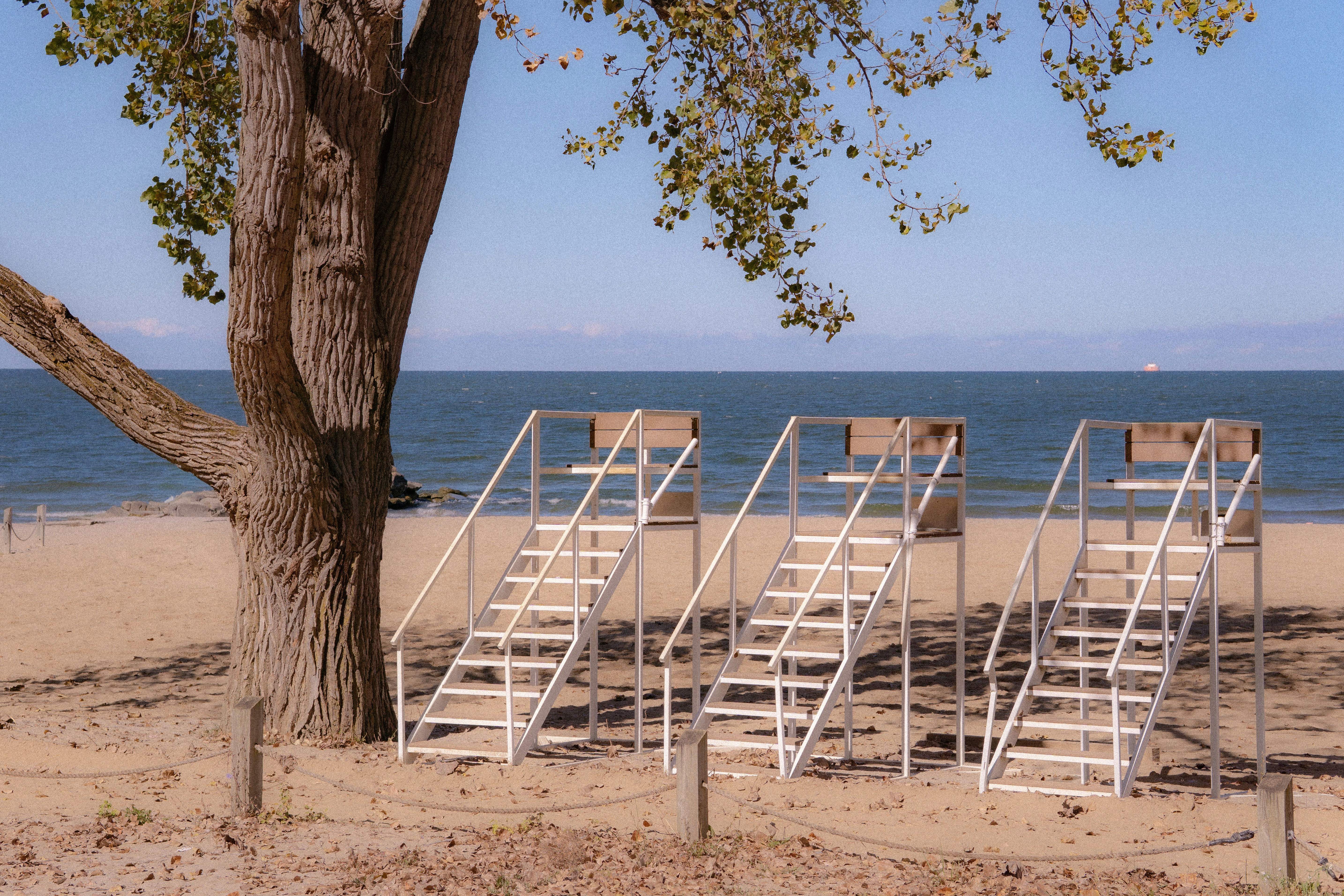 Three metal lifeguard stands positioned on a sandy beach under a large tree, with a calm lake in the background.