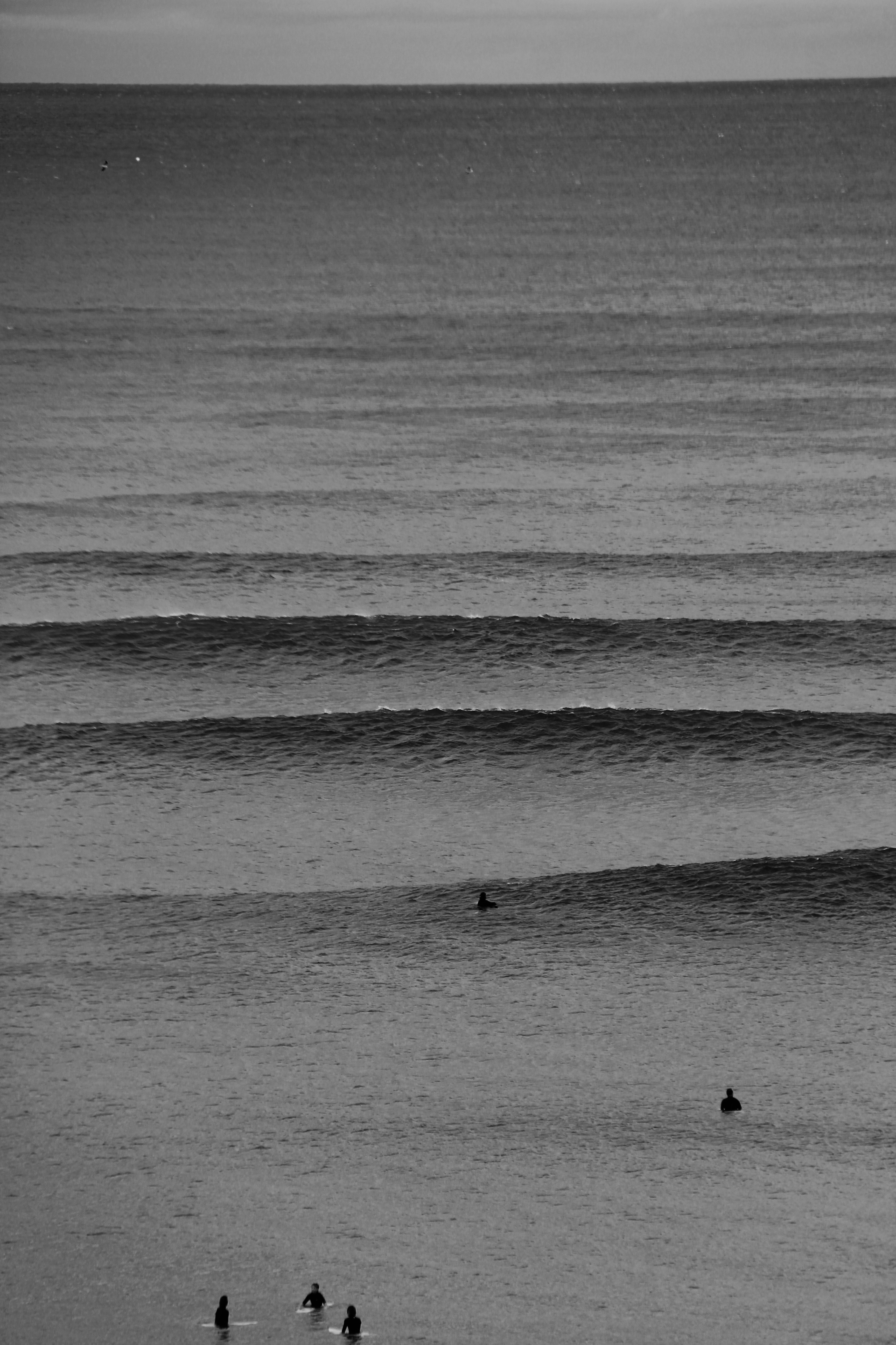 Surfers navigating gentle waves under a serene sky, captured in monochrome. The tranquil scene emphasizes the connection between water and sport.