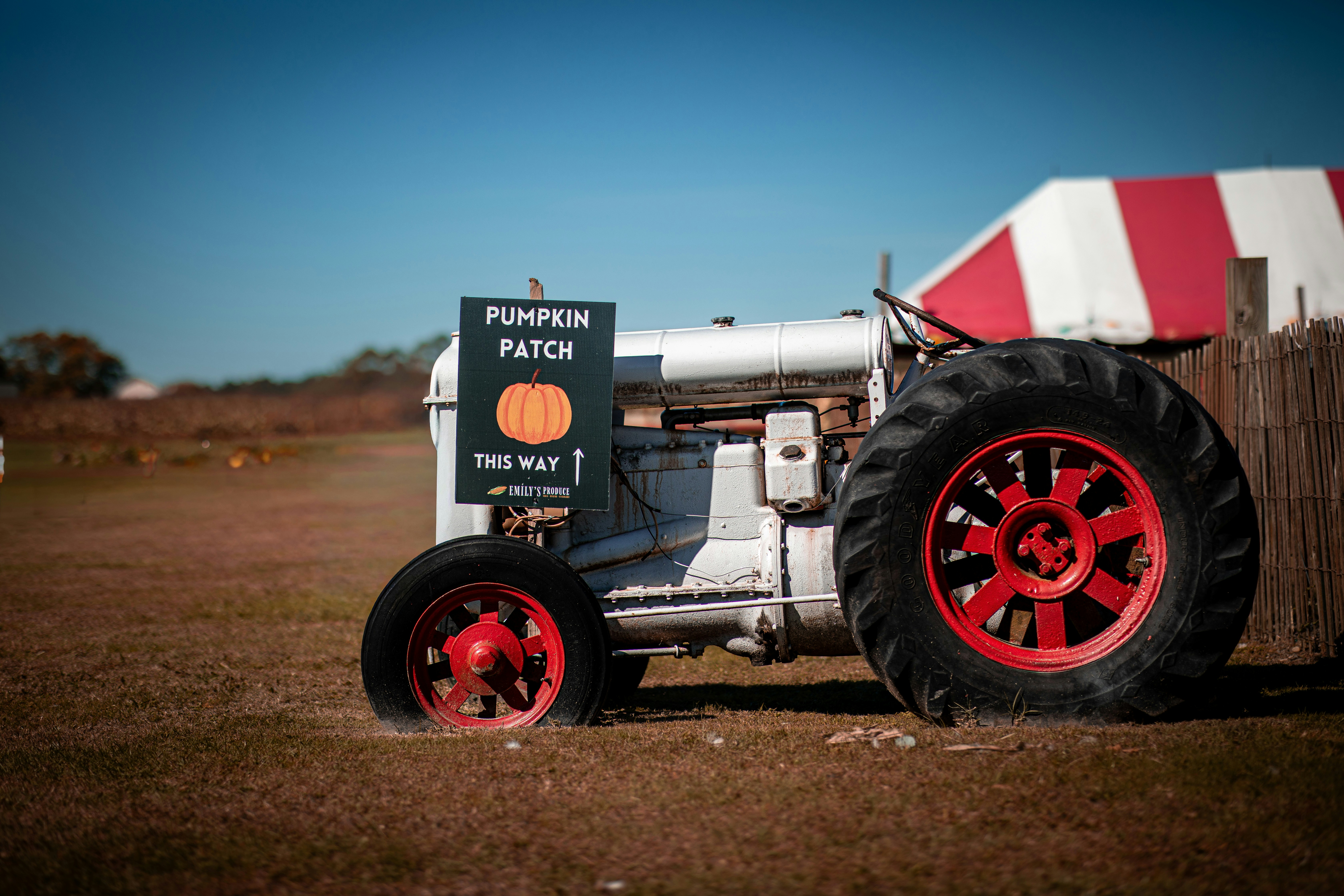 Photo by Vikram Singh with Canon EOS 5D Mark IV