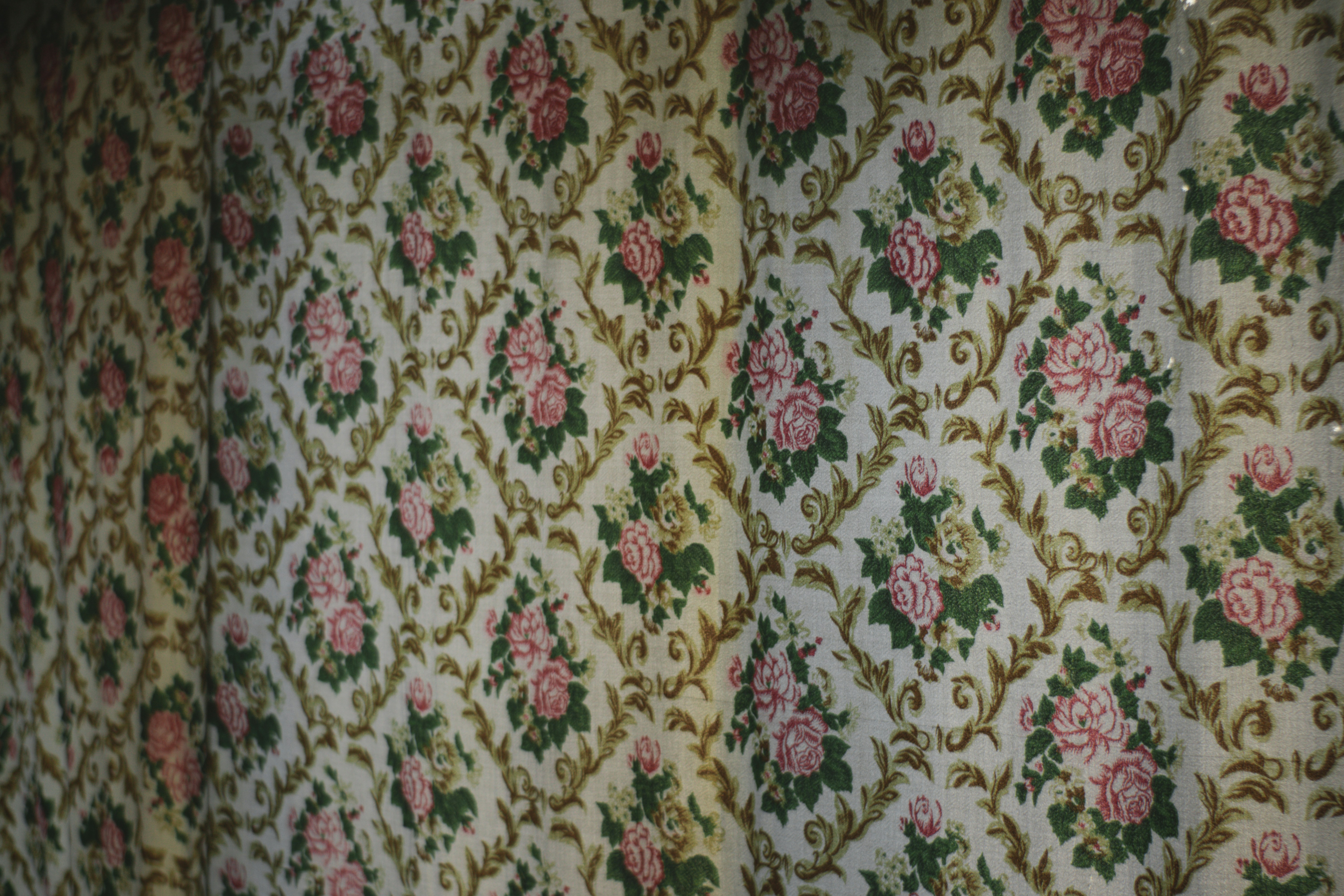 Floral patterned wallpaper with pink roses and green leaves photo ...