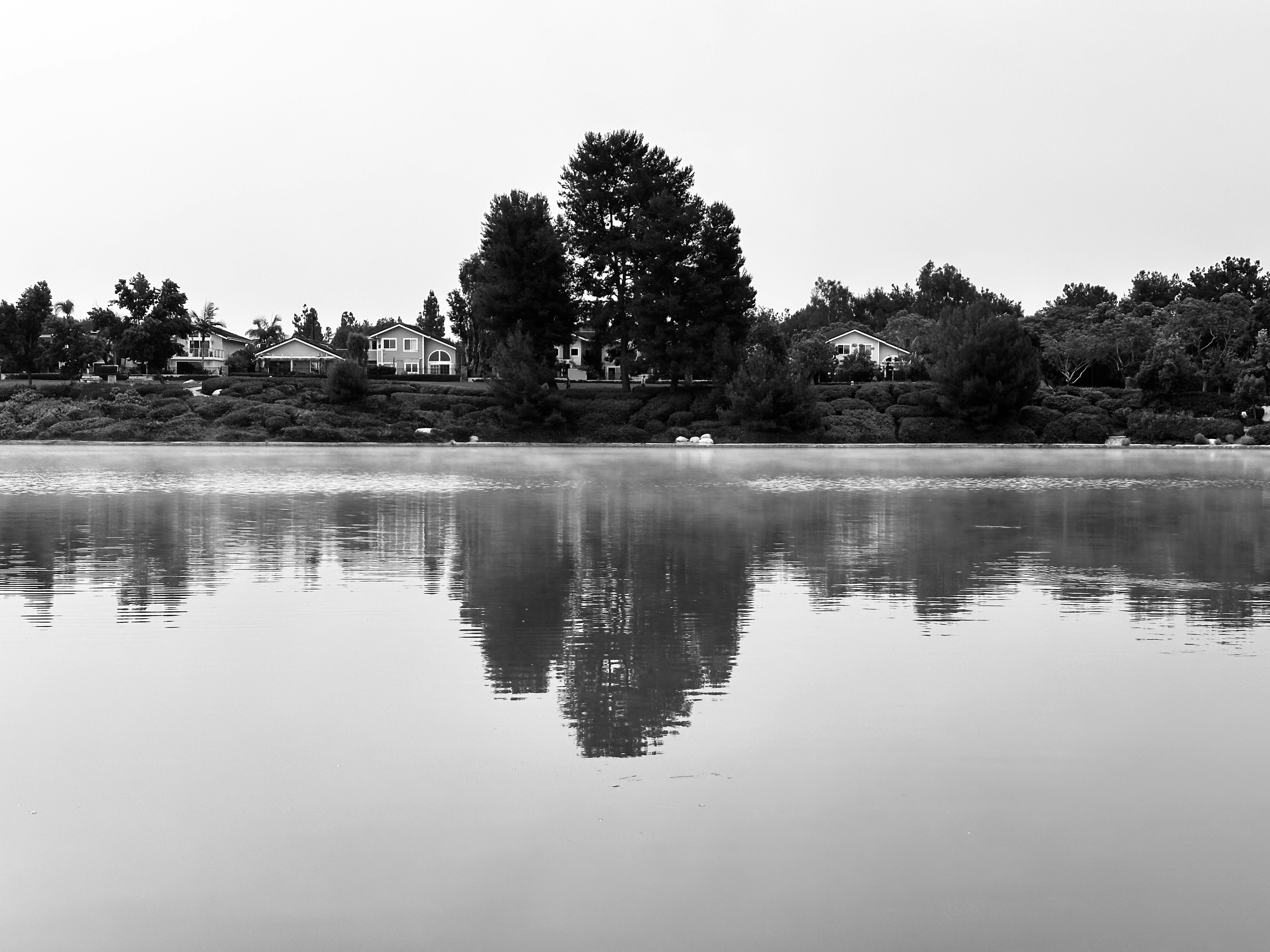 Tranquil lakeside view featuring a mirrored reflection of trees and homes on calm water, captured in monochrome.