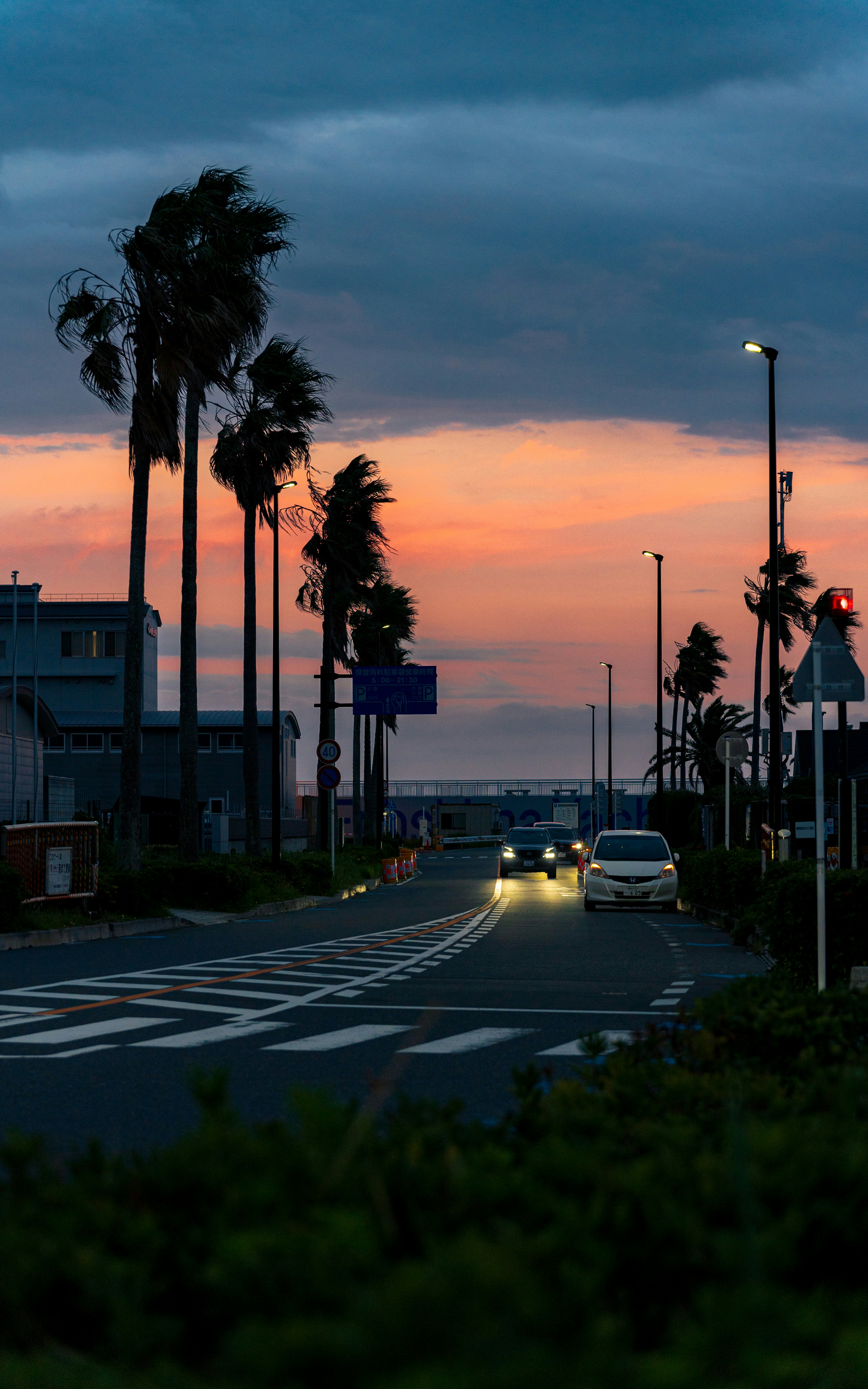 A tranquil coastal road lined with swaying palm trees under a pastel sky at dusk, featuring a car approaching from the distance.