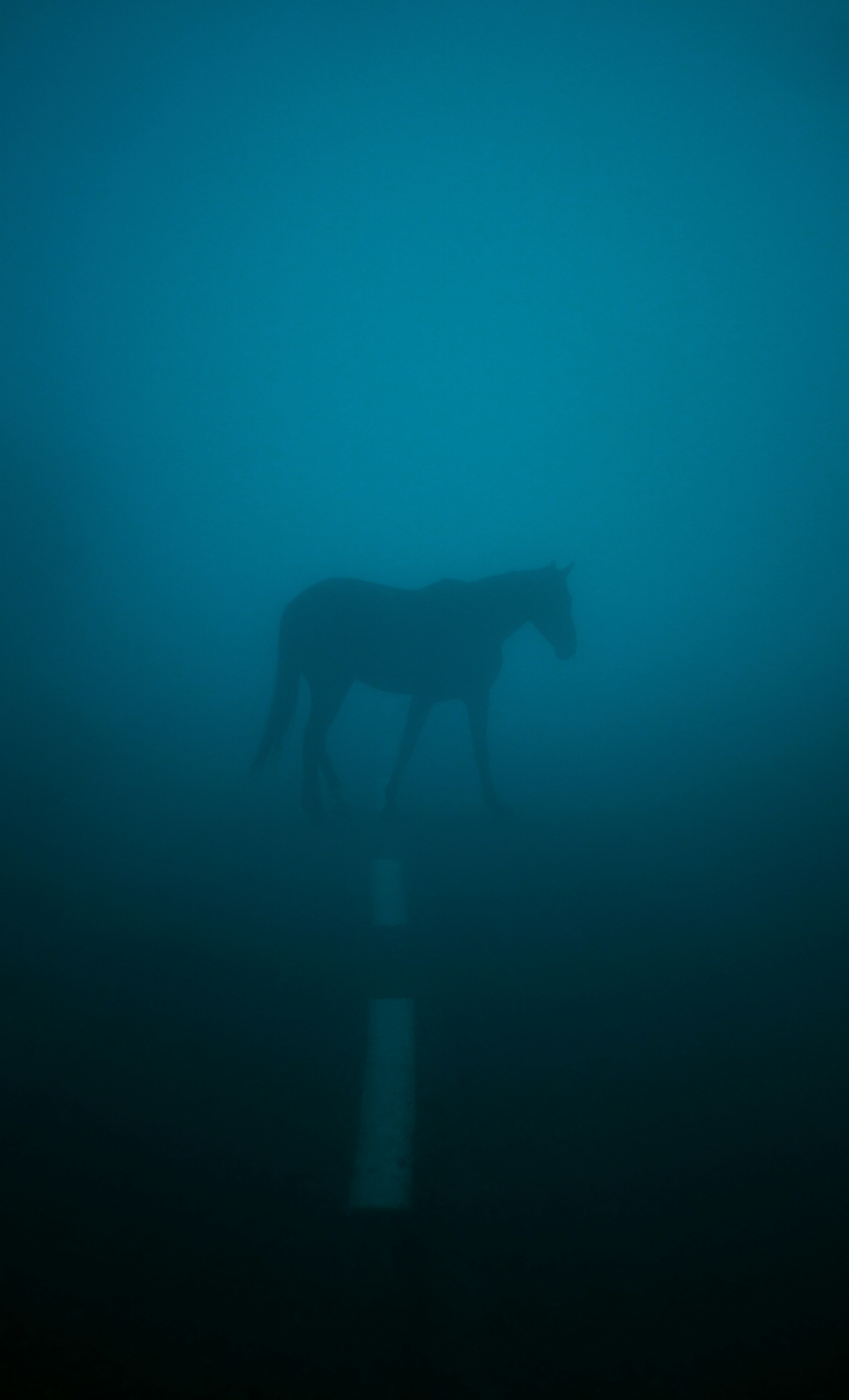 Cobalt Abyss: The Floating Horse Silhouette