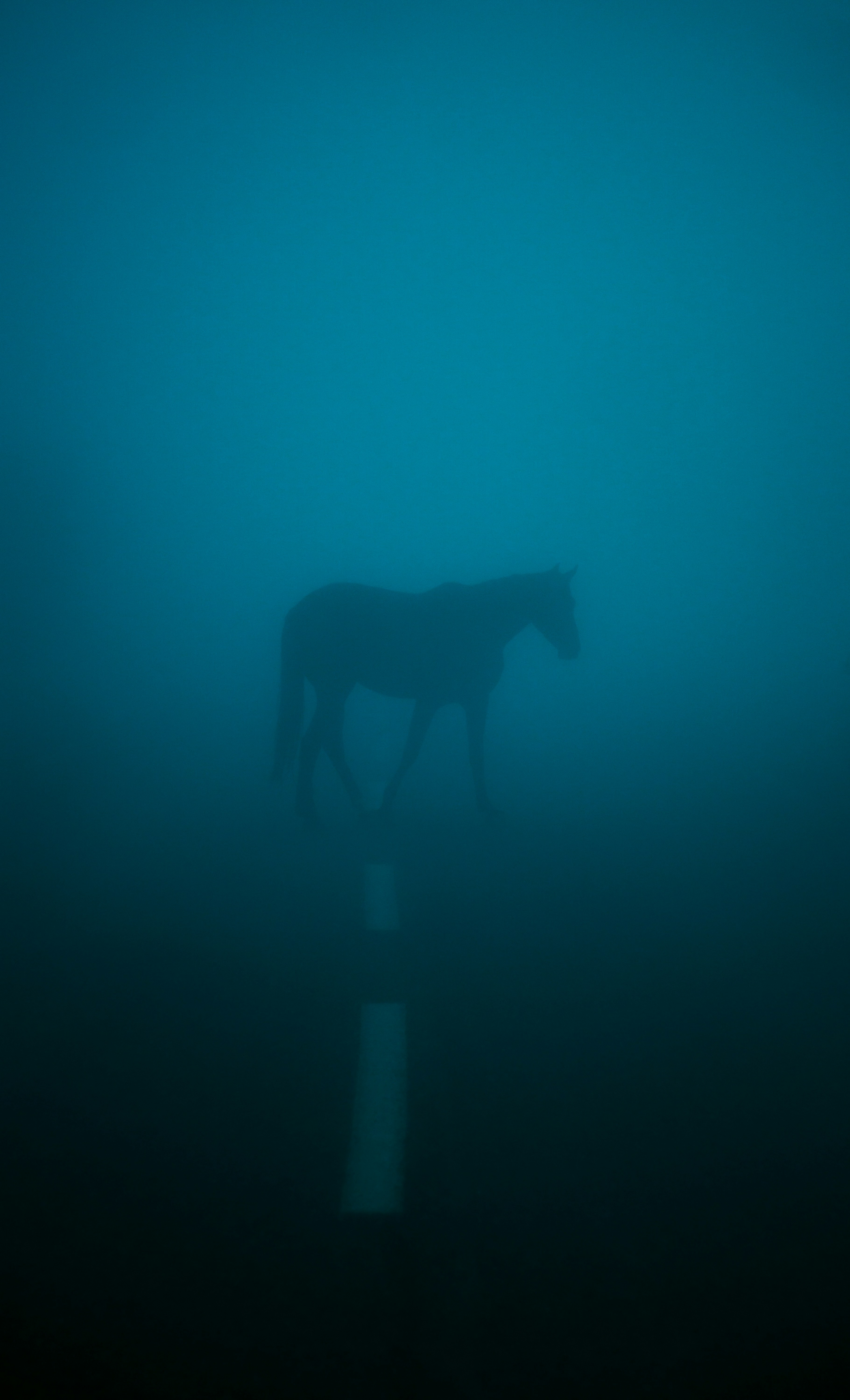 Blue Depths: a lone horse drifting over a submerged road