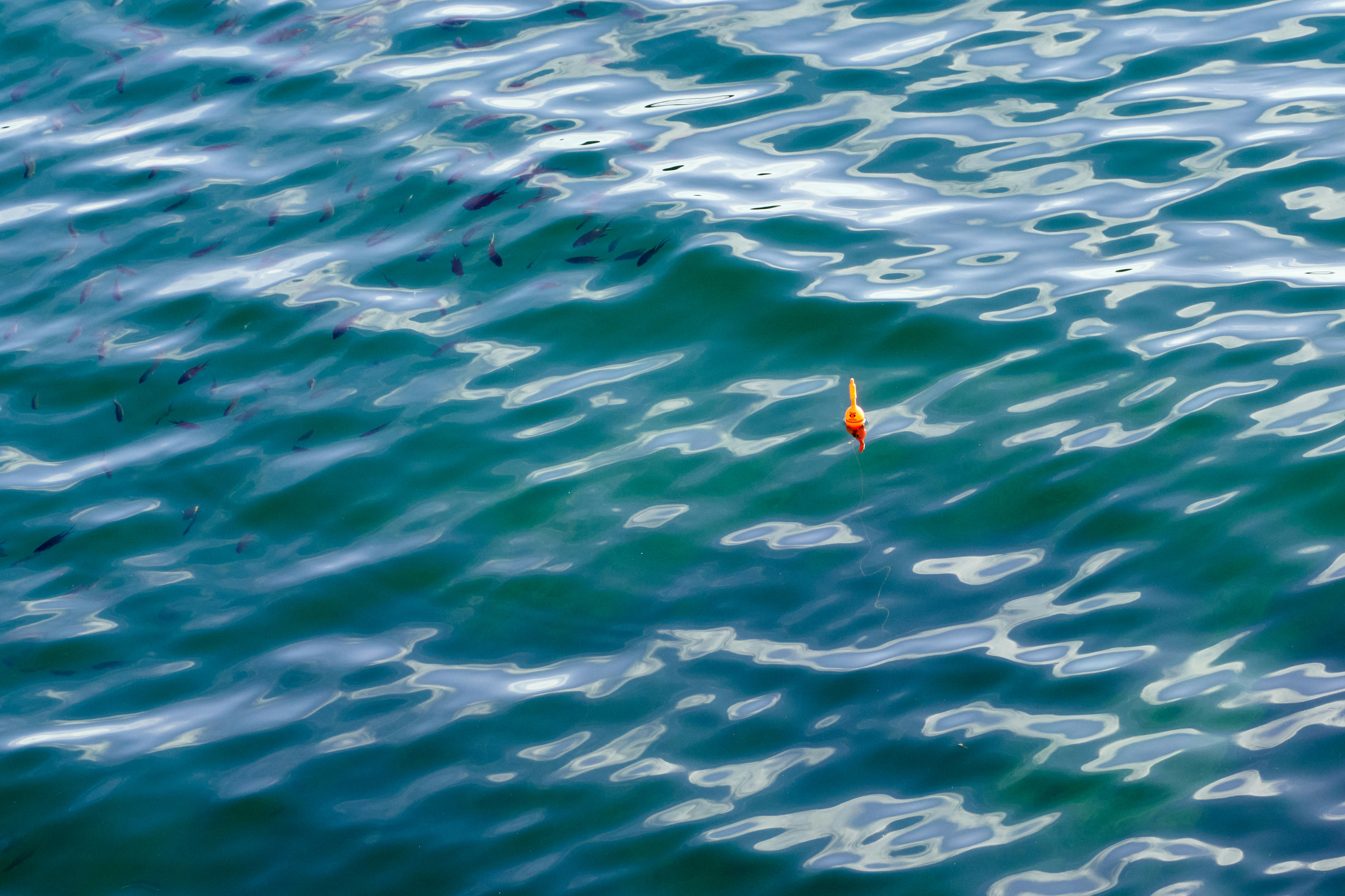 A Solitary Float Amidst the Tranquil Waters