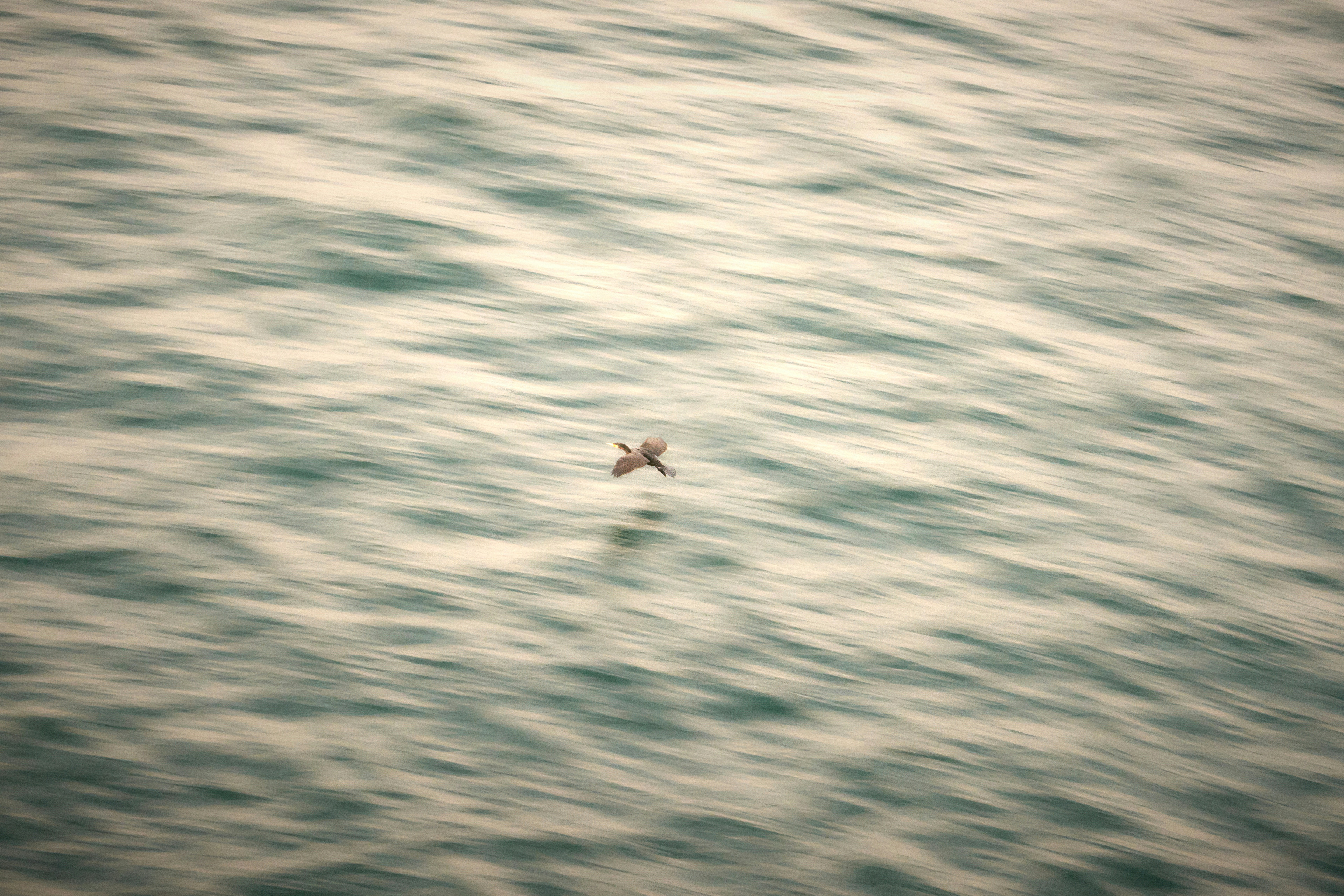 A Dance Above the Waves