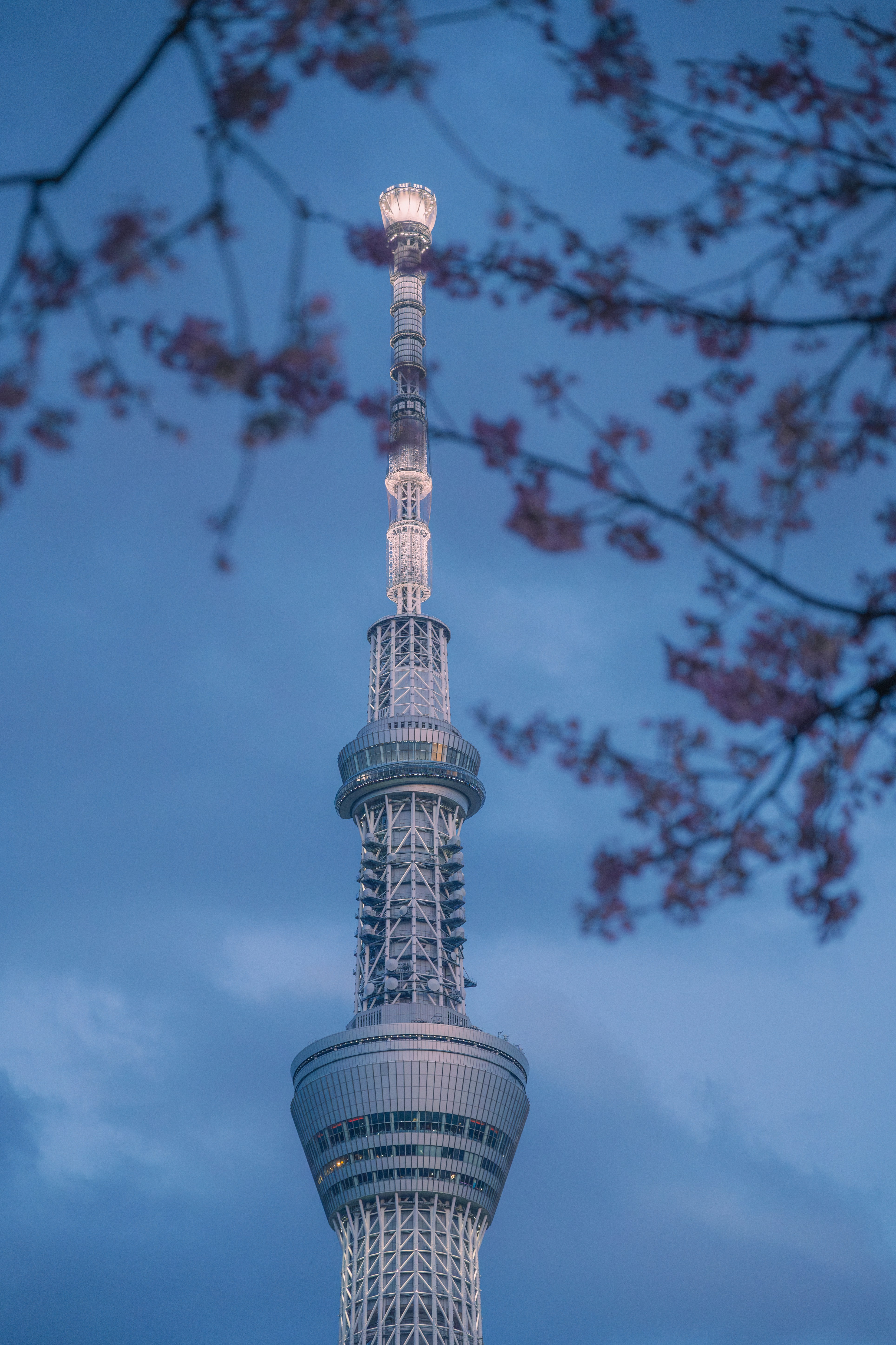 Photo by C Cai with Nikon Zf