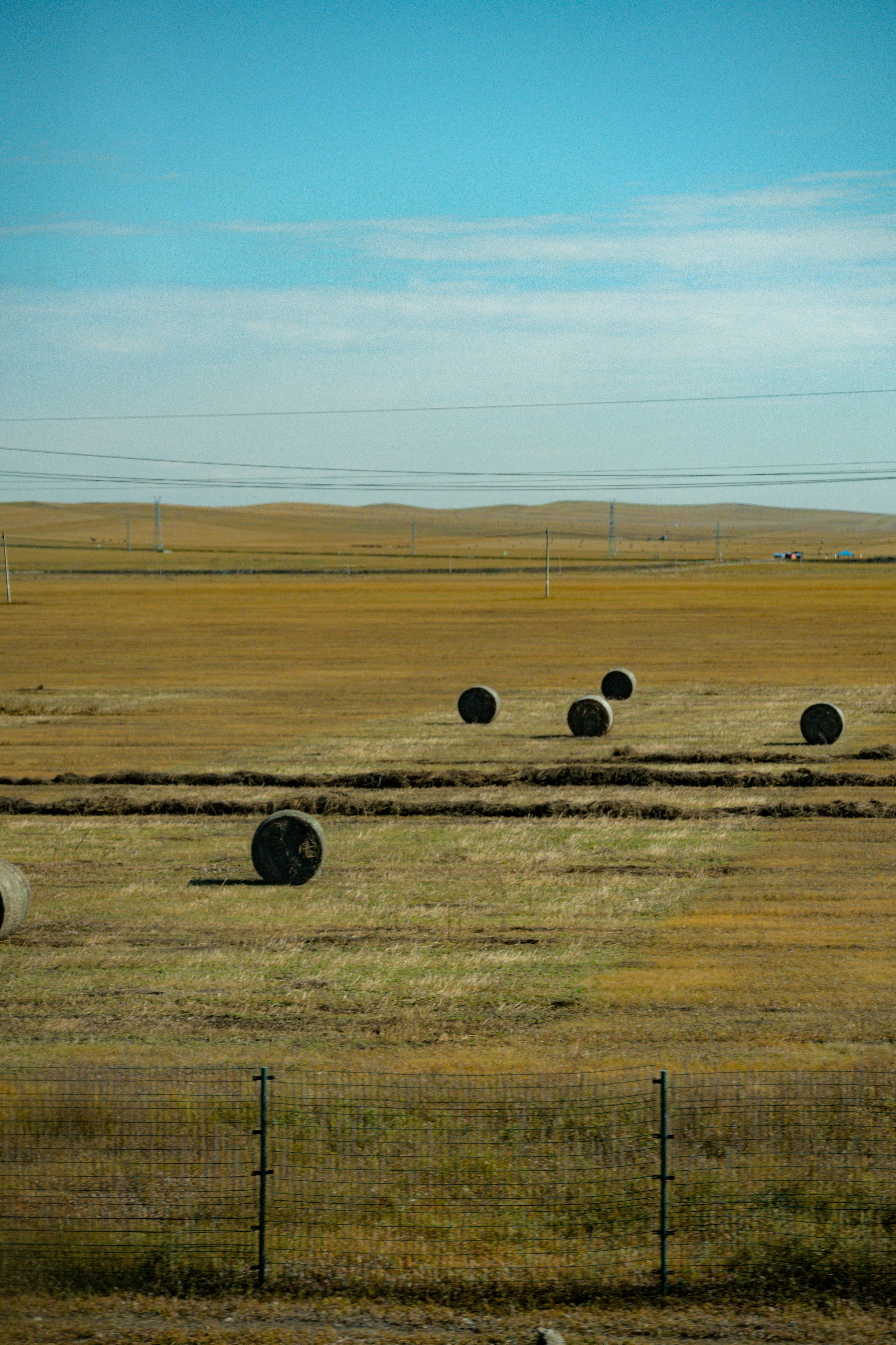 Scattered hay bales dotting a golden field under a clear blue sky, framed by distant rolling hills and power lines.