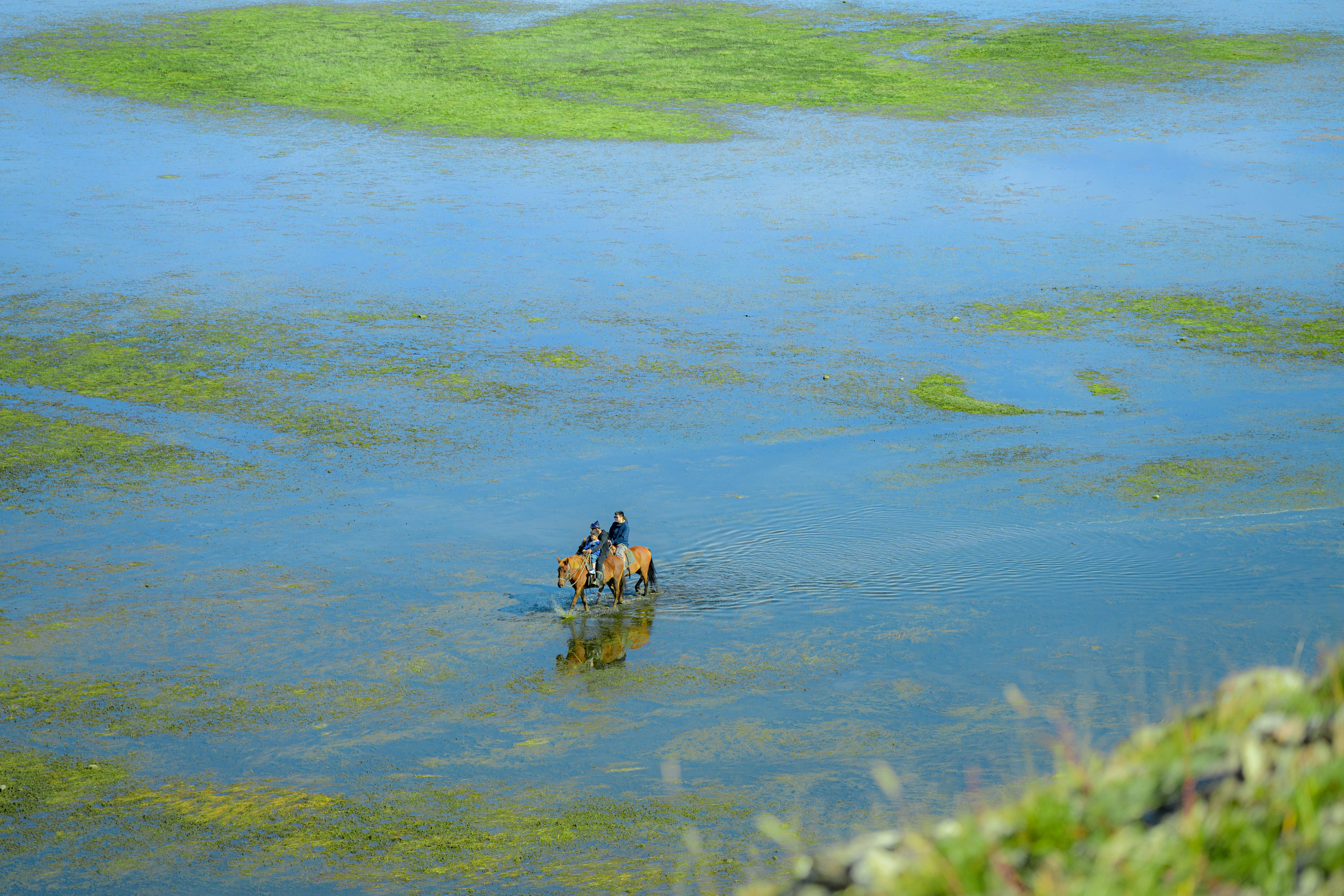 Serenity in Shallow Waters