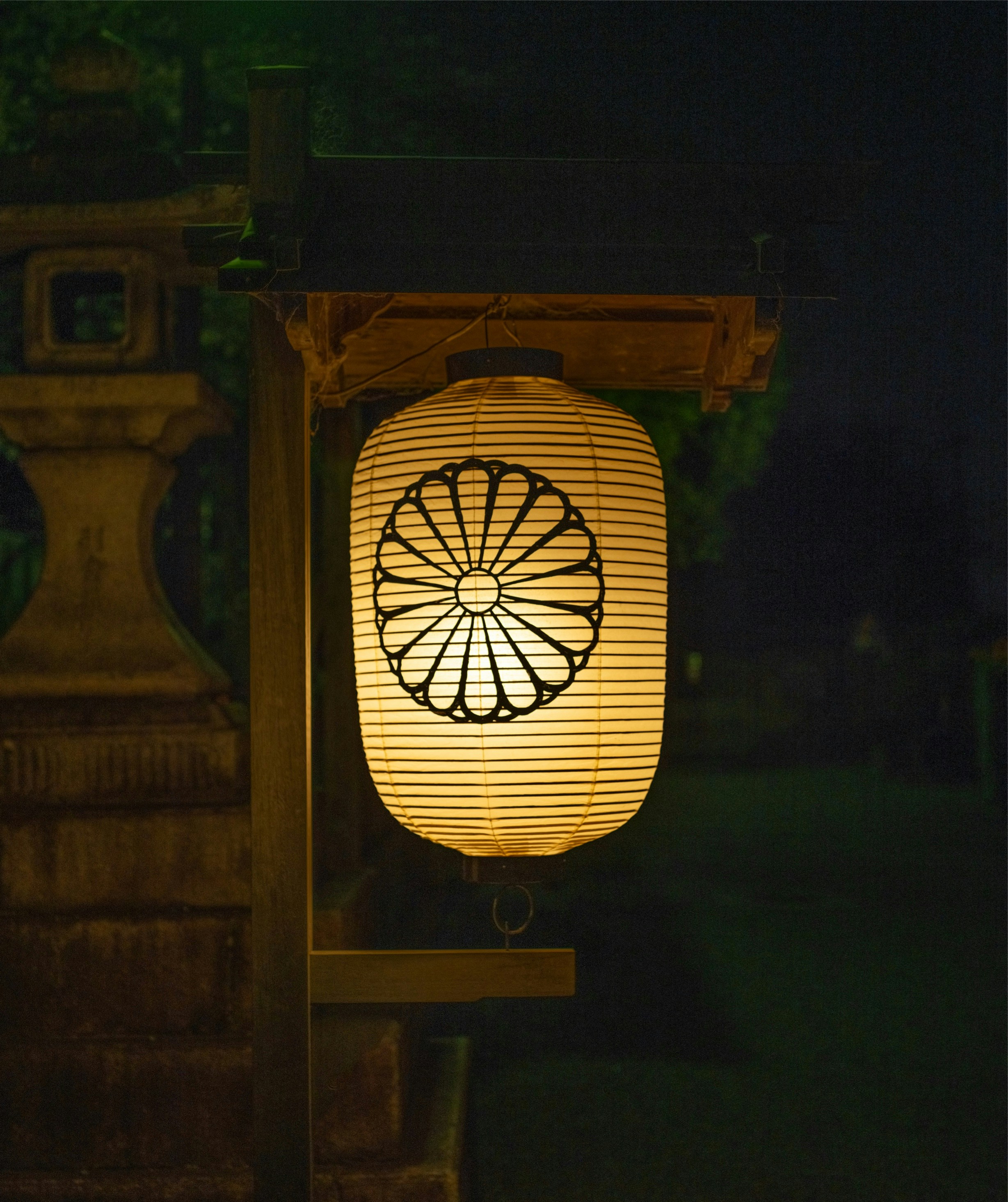 A japanese lantern with a chrysanthemum pattern glows at night. photo ...