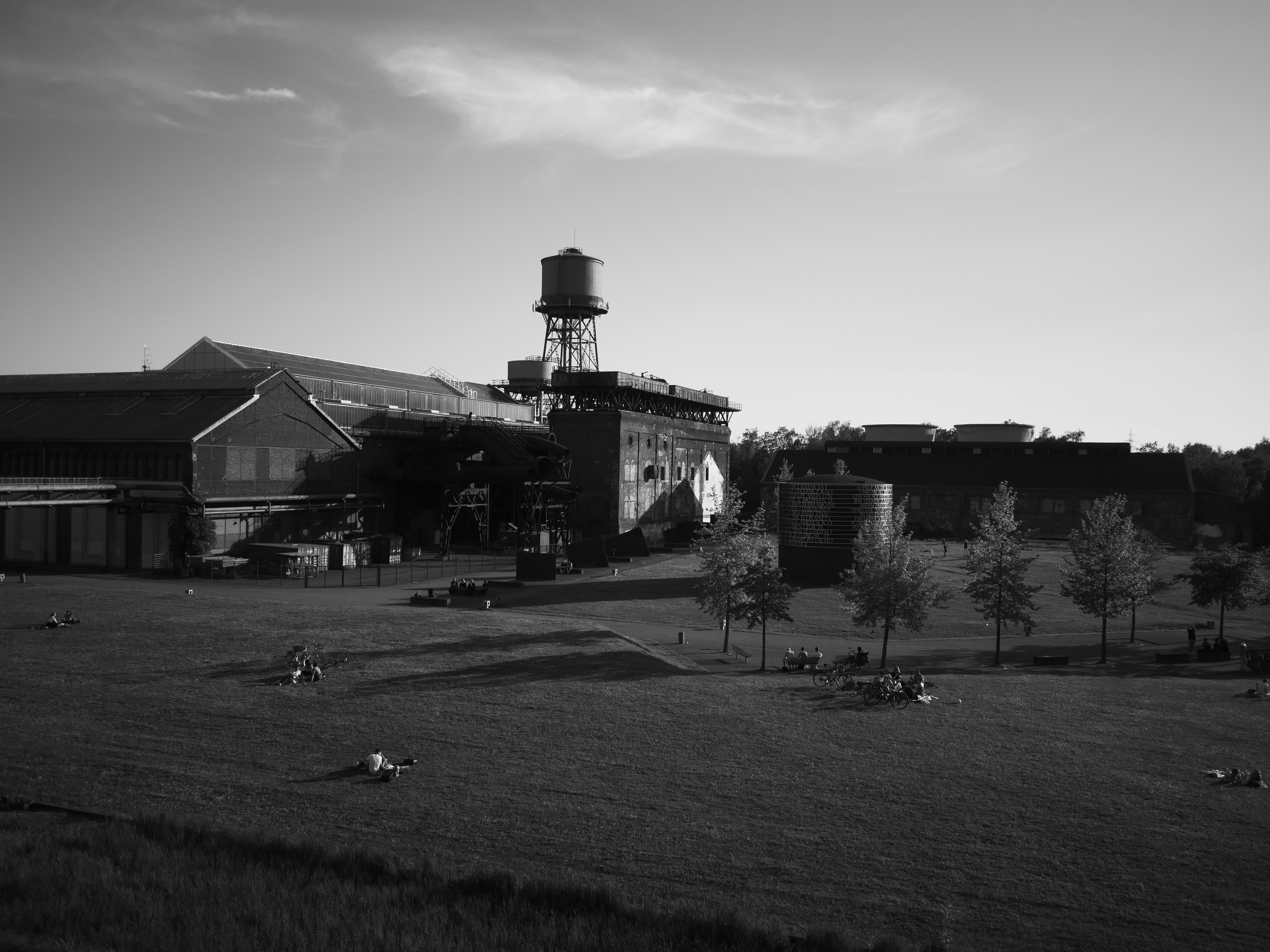 Water Tower Over Brick Complex: Quiet Monochrome Park Portrait