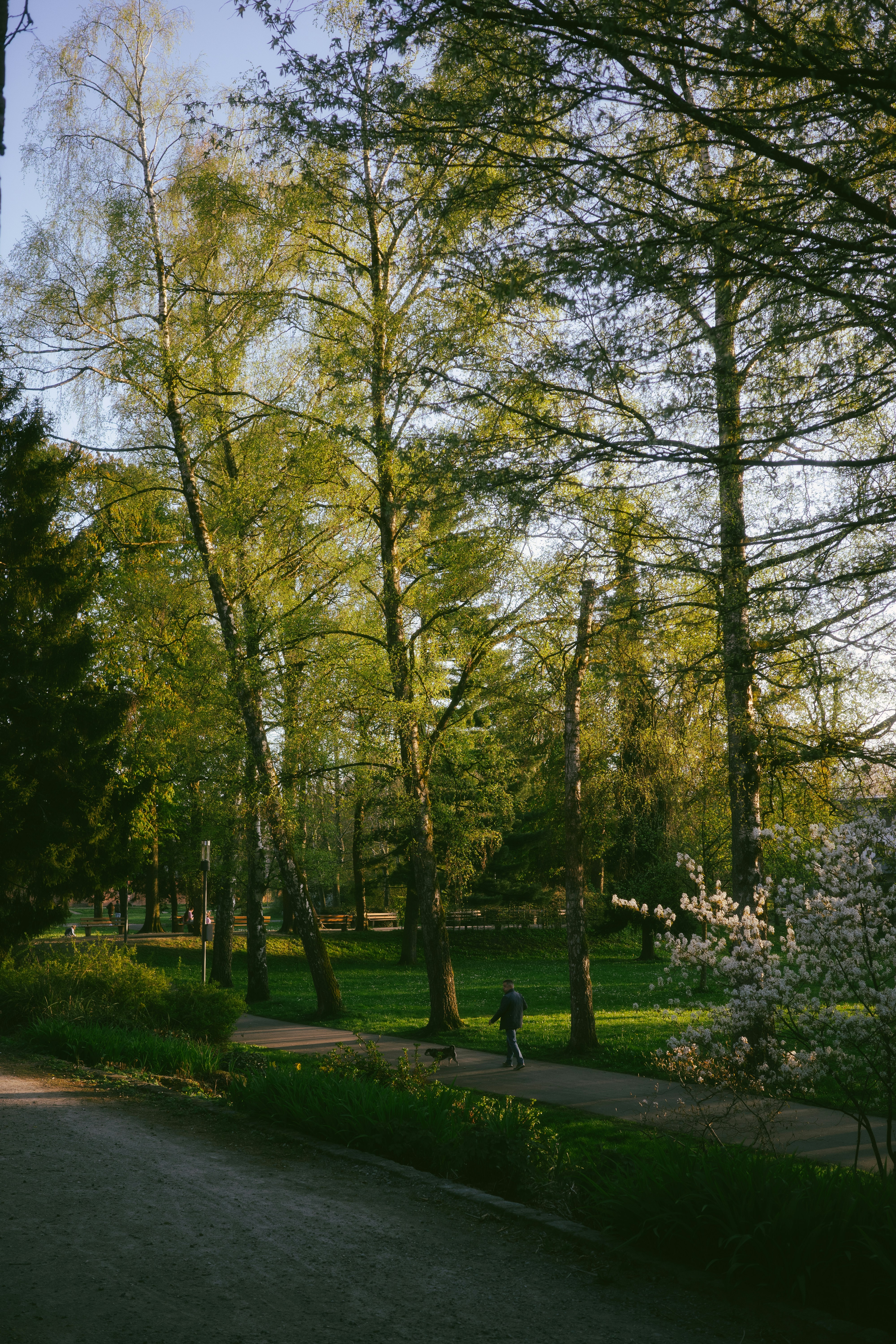 Photo by Philipp Hubert with Ricoh GR IIIx