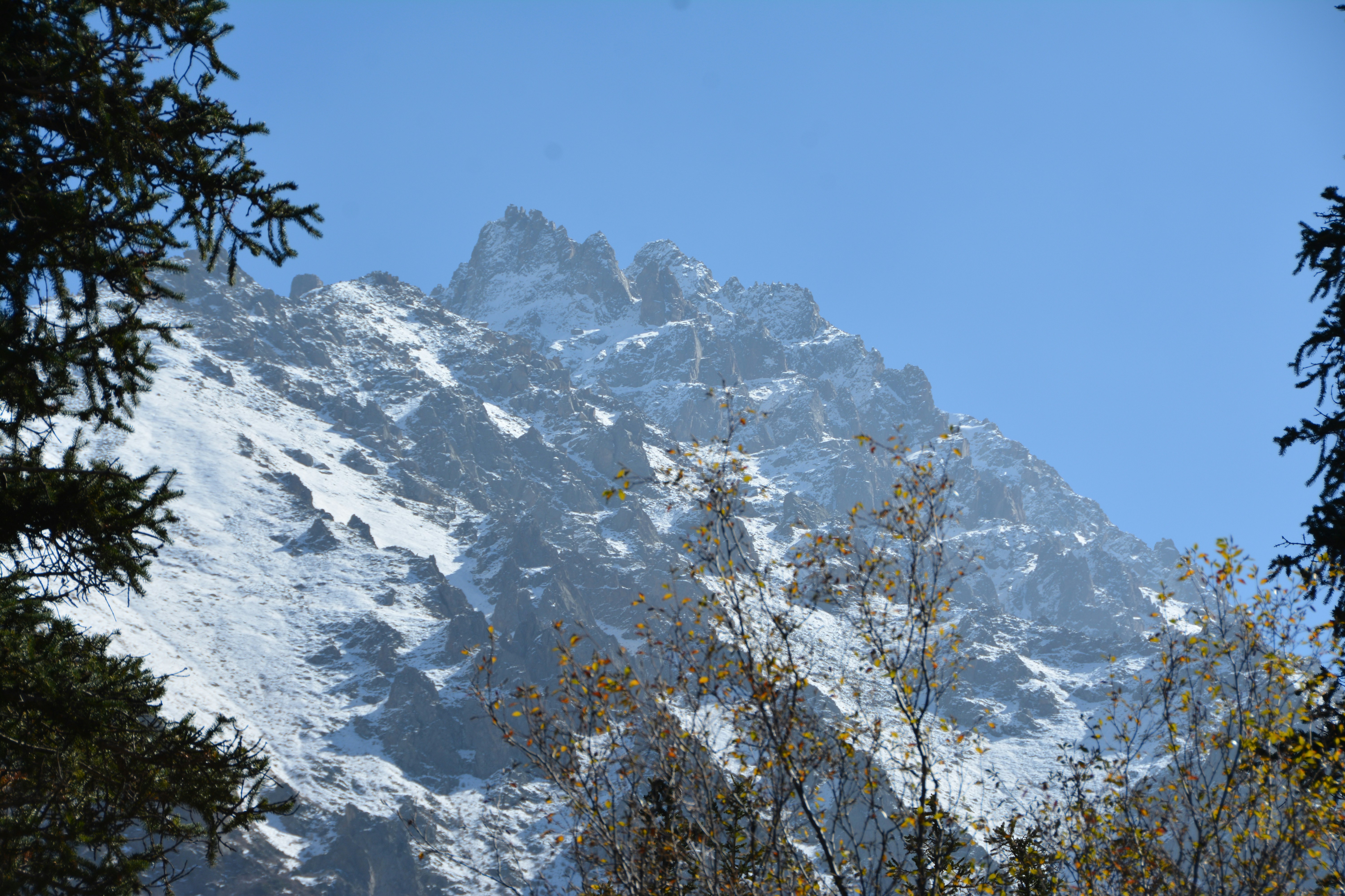 Snow-capped mountain range framed by autumn foliage, showcasing the contrast between the rugged terrain and vibrant leaves.