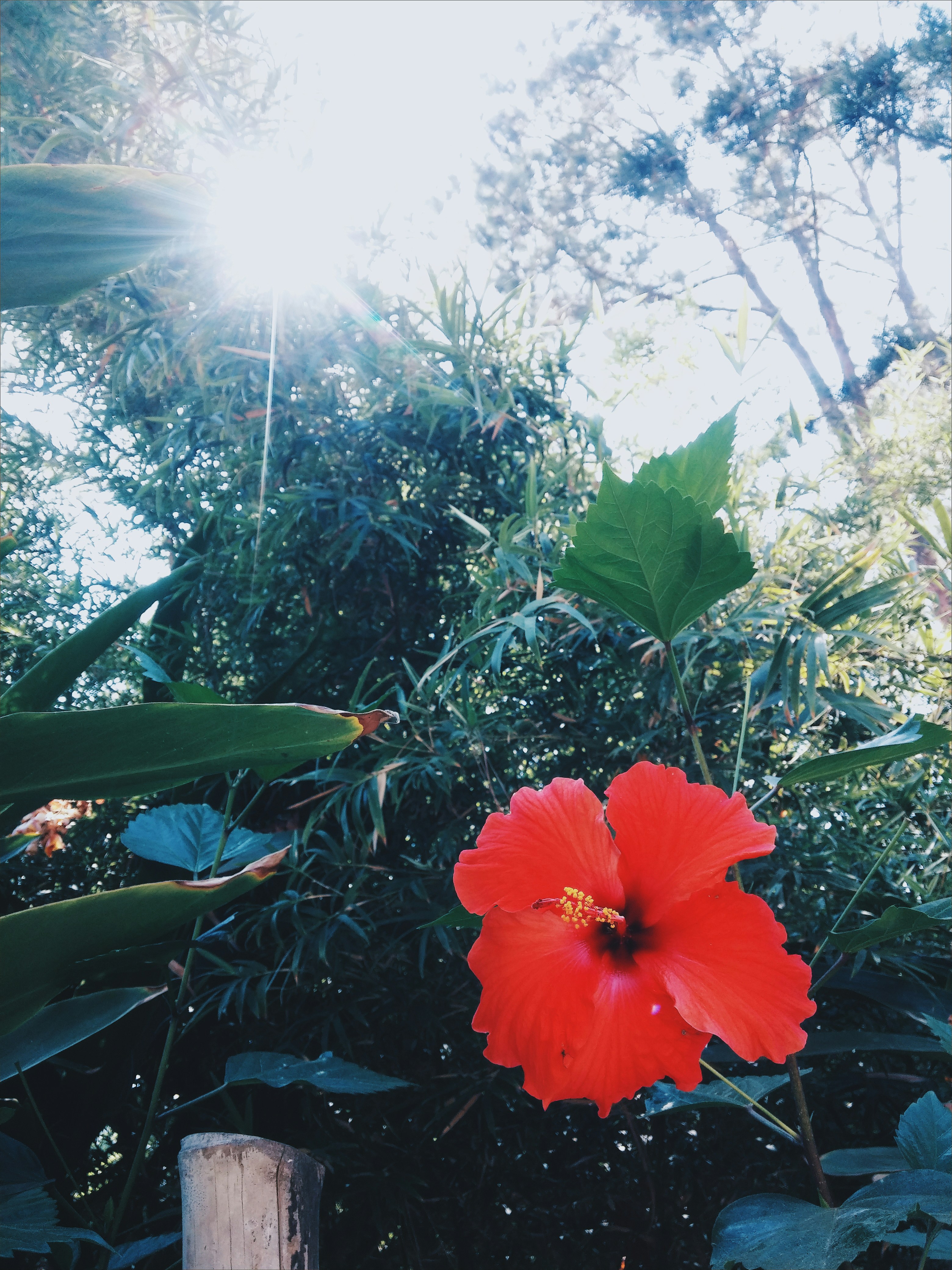 Drew G (@drew0an) | Communauté photos Unsplash