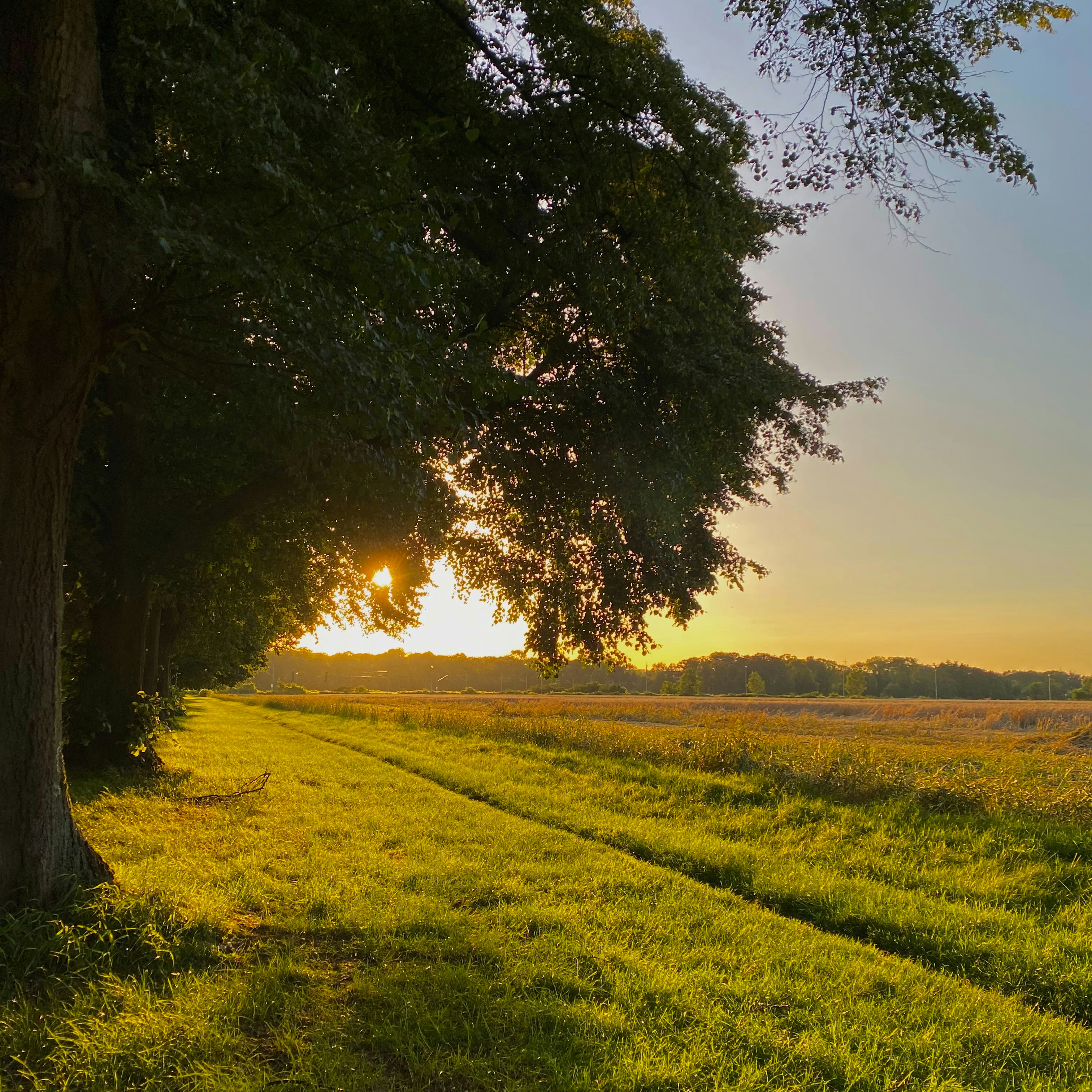 Drew G (@drew0an) | Communauté photos Unsplash