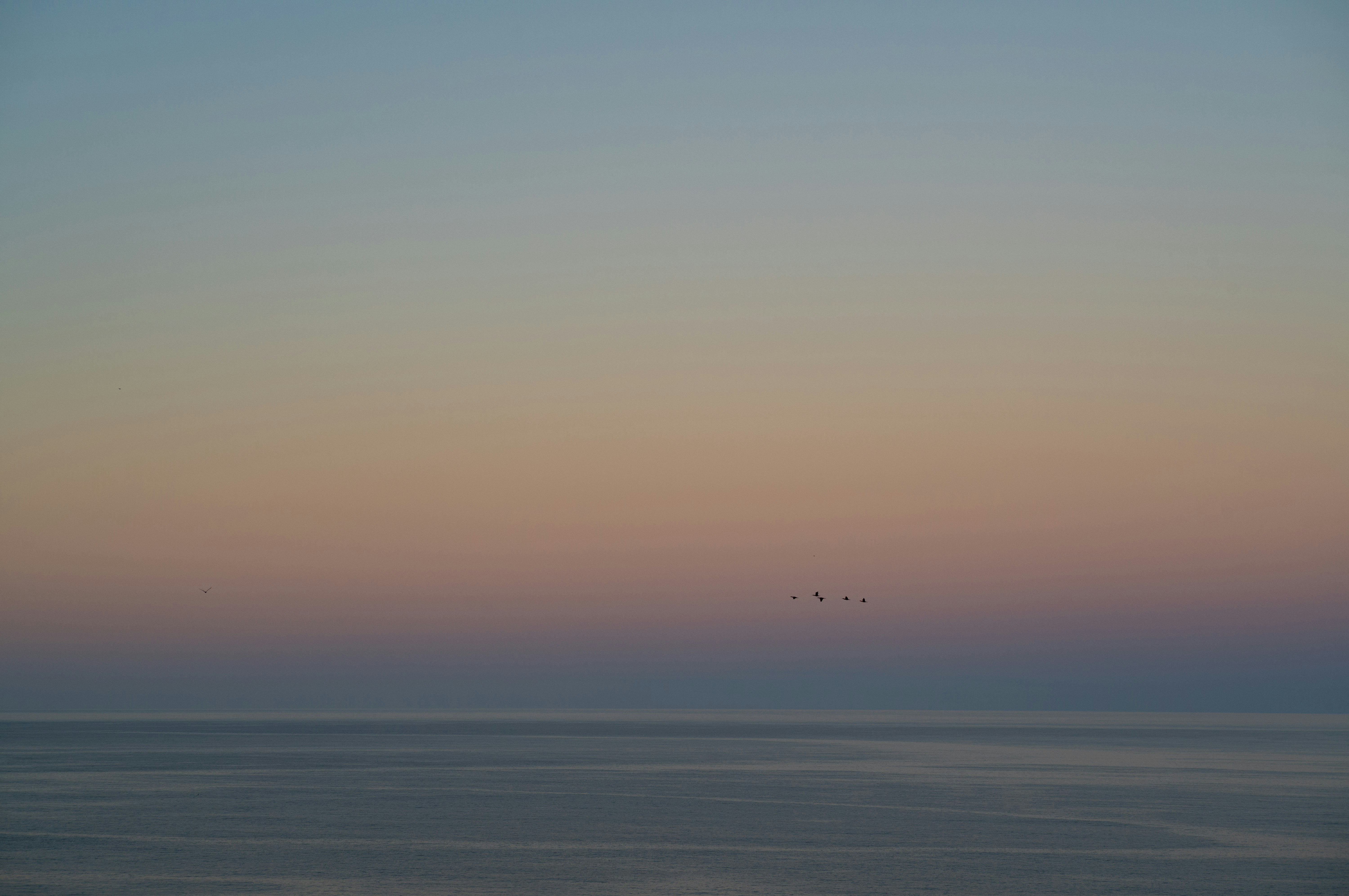 Harmony of Horizon and Sky