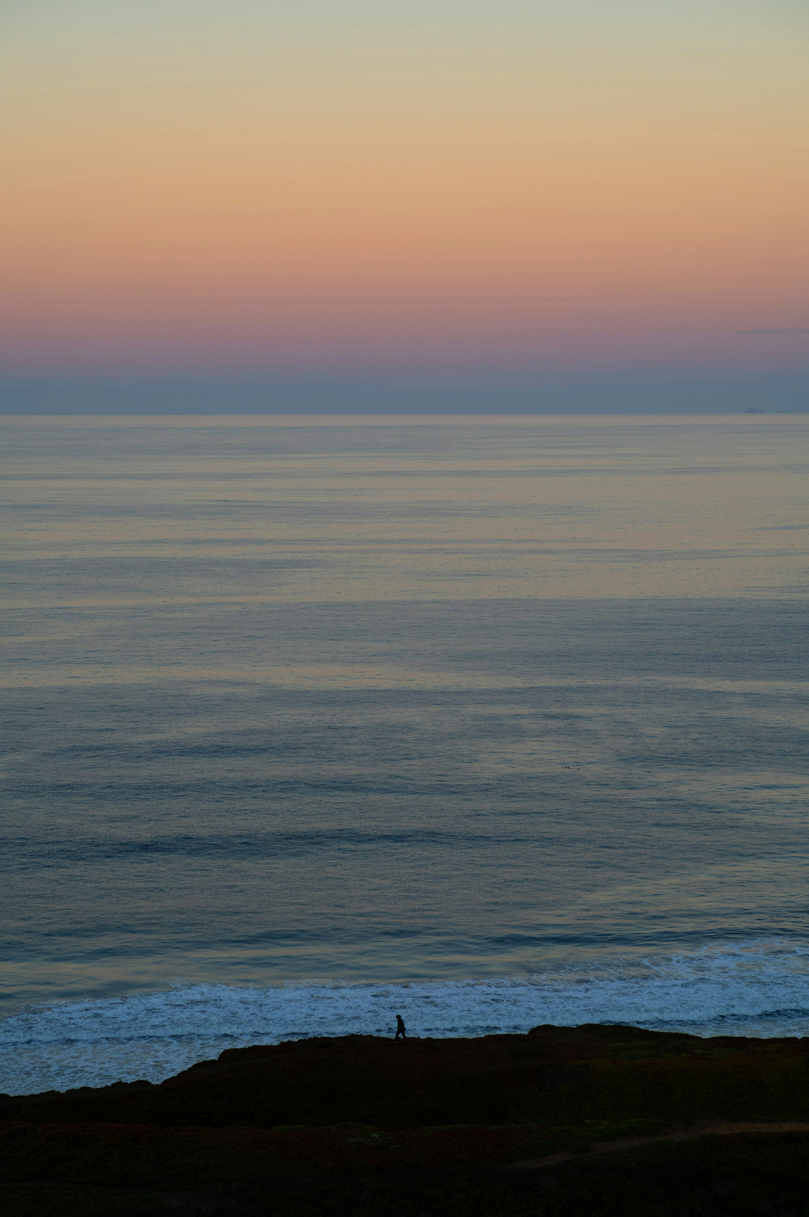 Solitude by the Shoreline