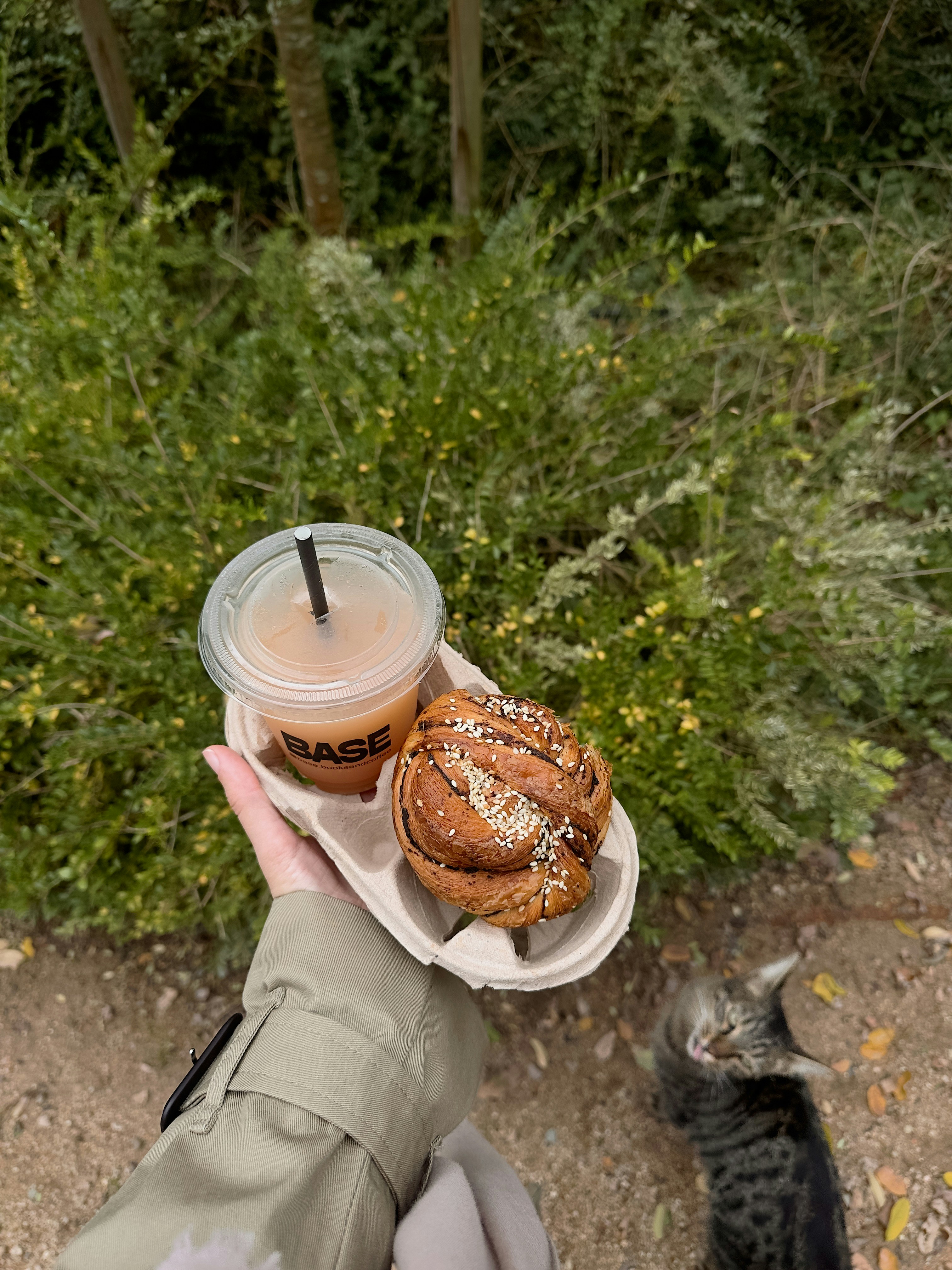 A Moment of Indulgence in Nature's Embrace
