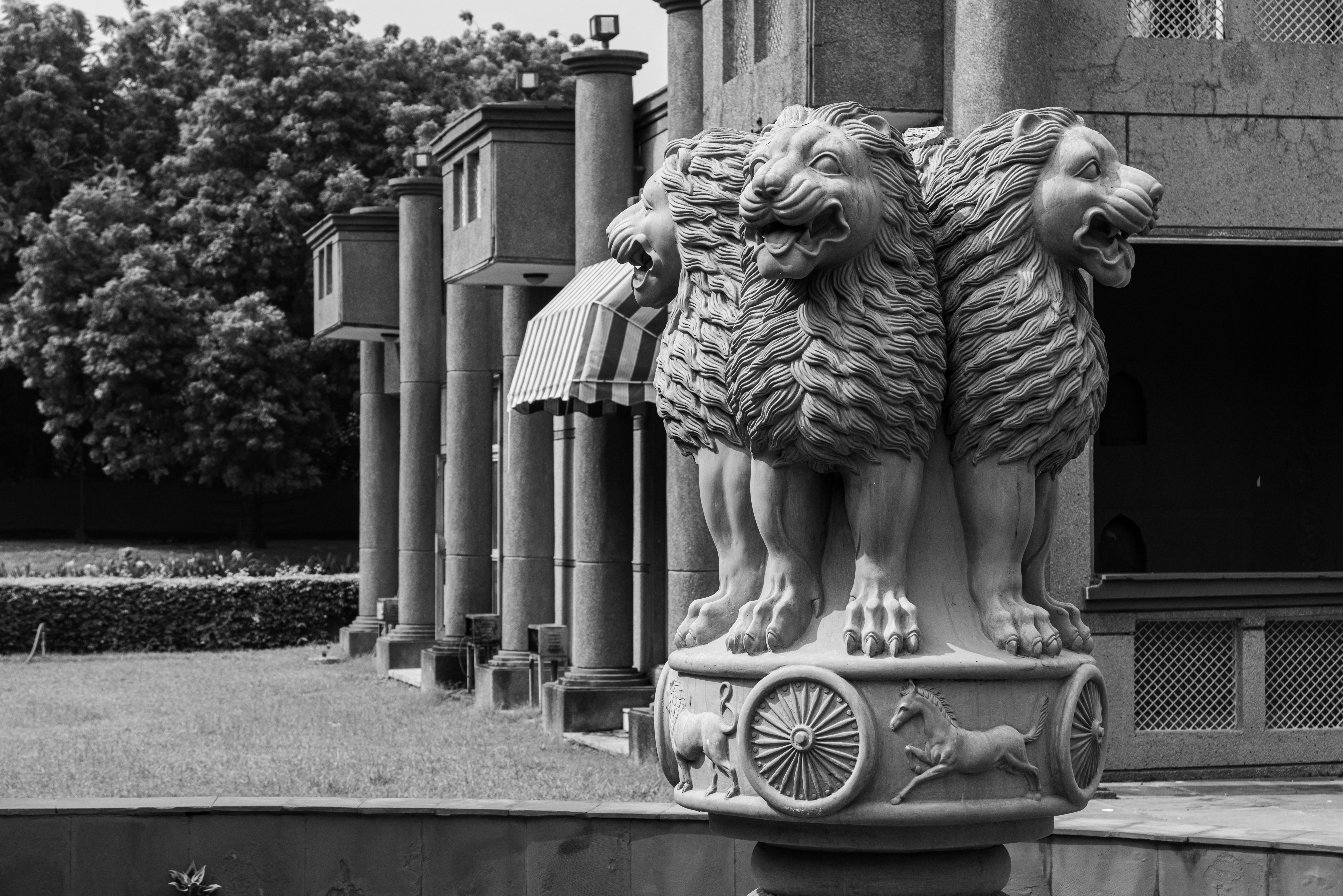 The ashoka pillar lions monument with columns. photo – Free Statue ...