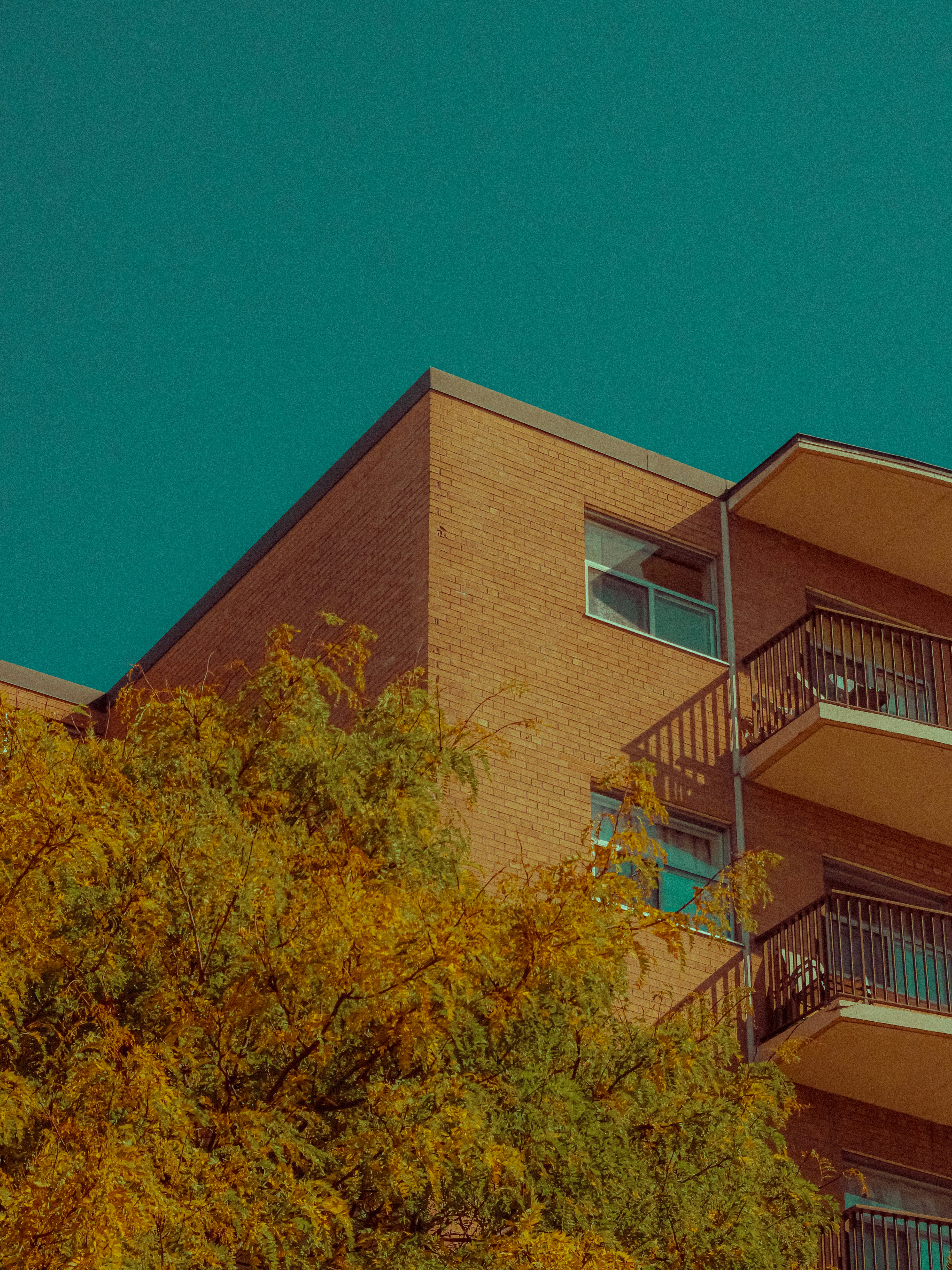 Autumn's Embrace on Urban Living