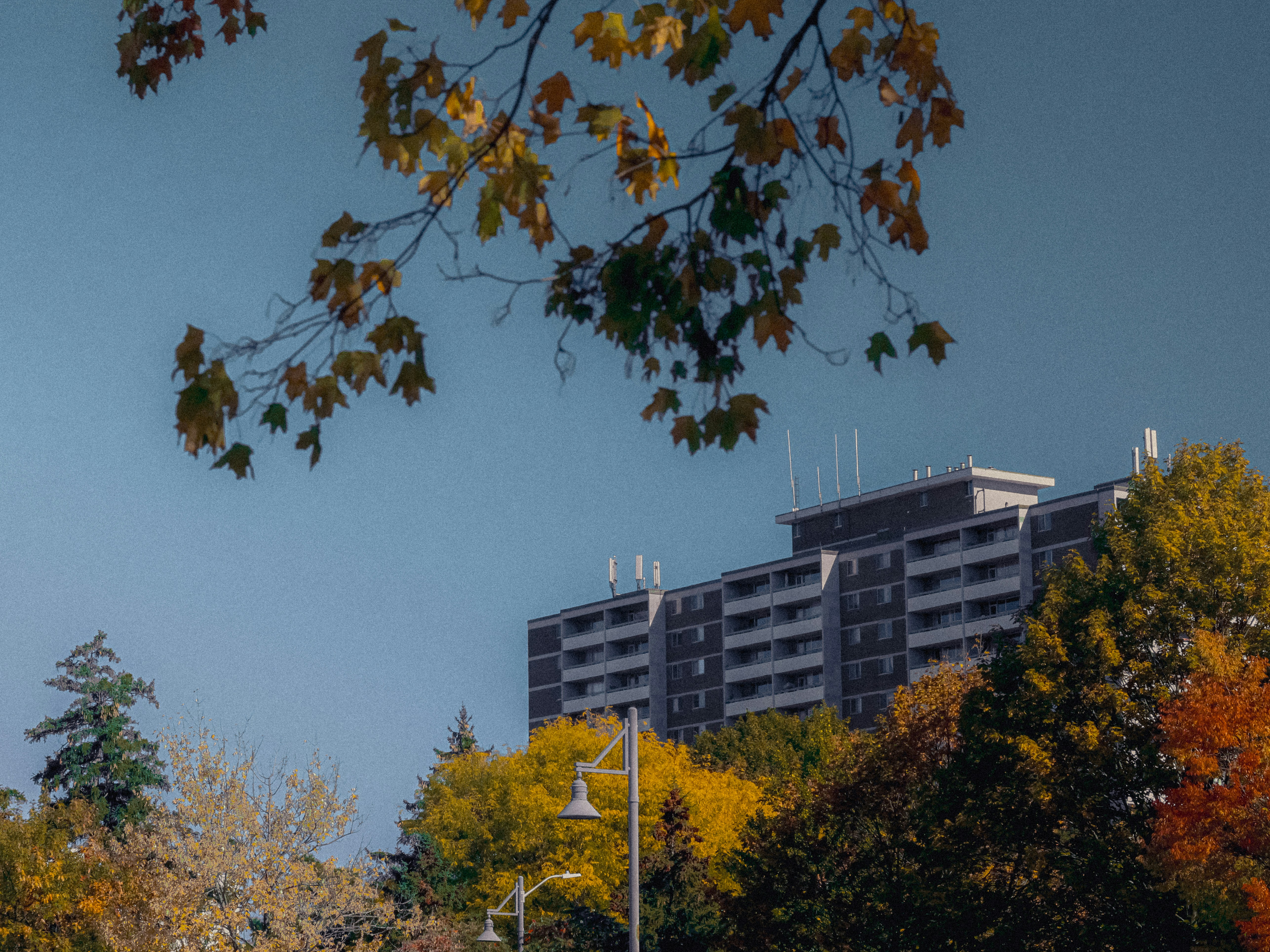 Urban Oasis Among Autumn Hues