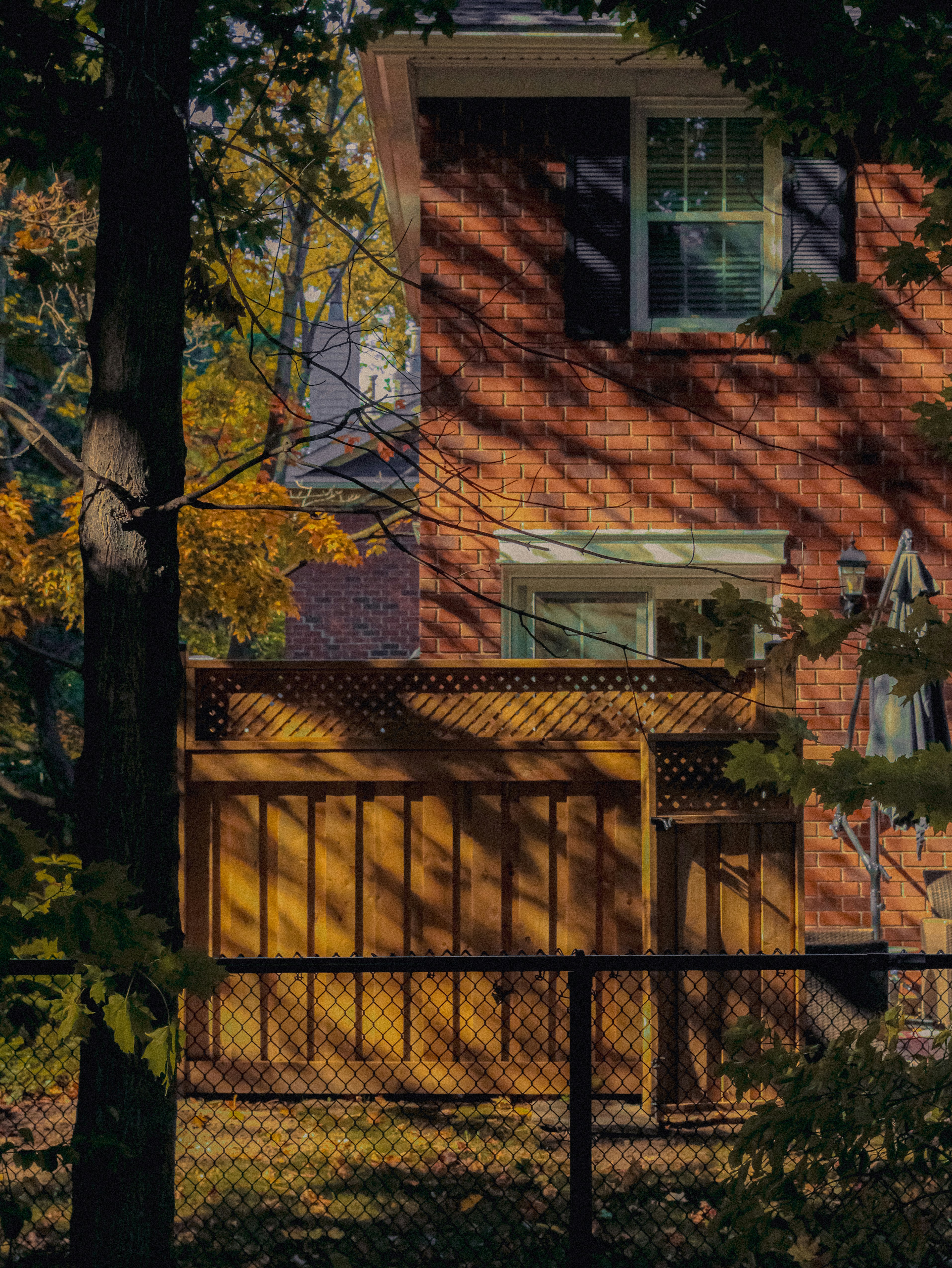 backyard of suburban home in autumn sunlight | Brick house with wooden fence and autumn leaves