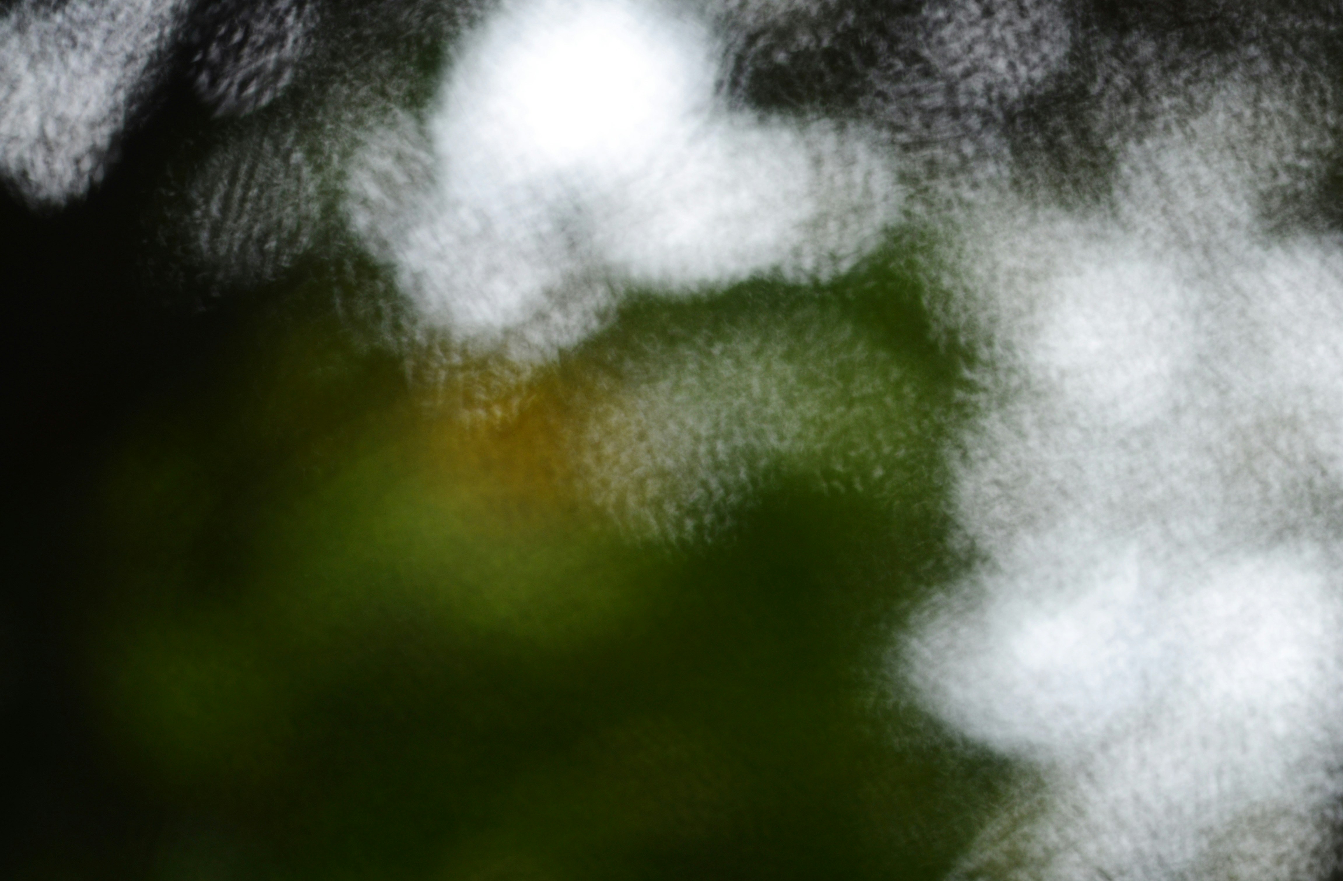 Whispers of Nature's Light