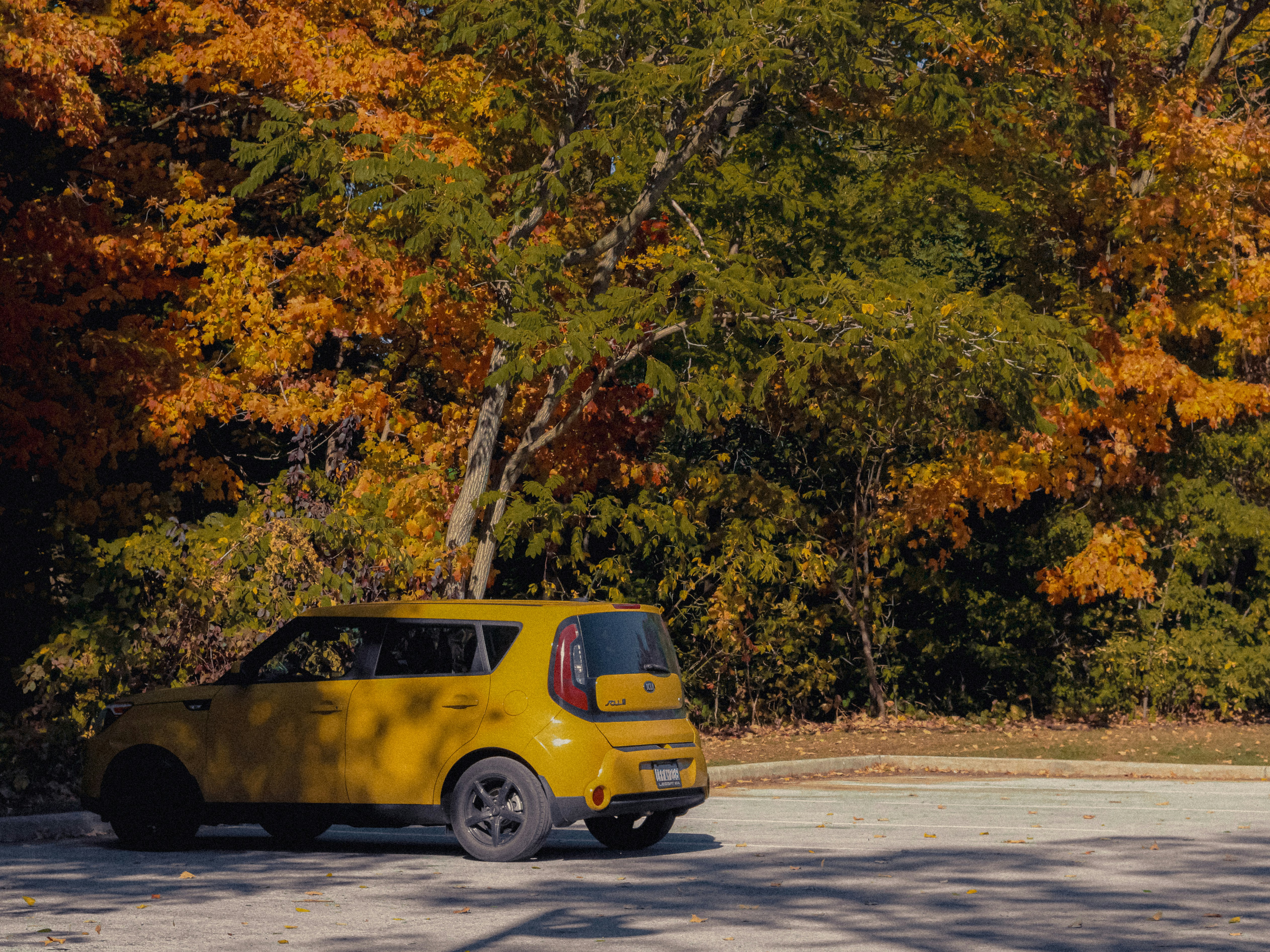 A vibrant yellow car parked beside a backdrop of autumn foliage, showcasing a blend of oranges and greens. The scene captures the essence of a tranquil fall day.