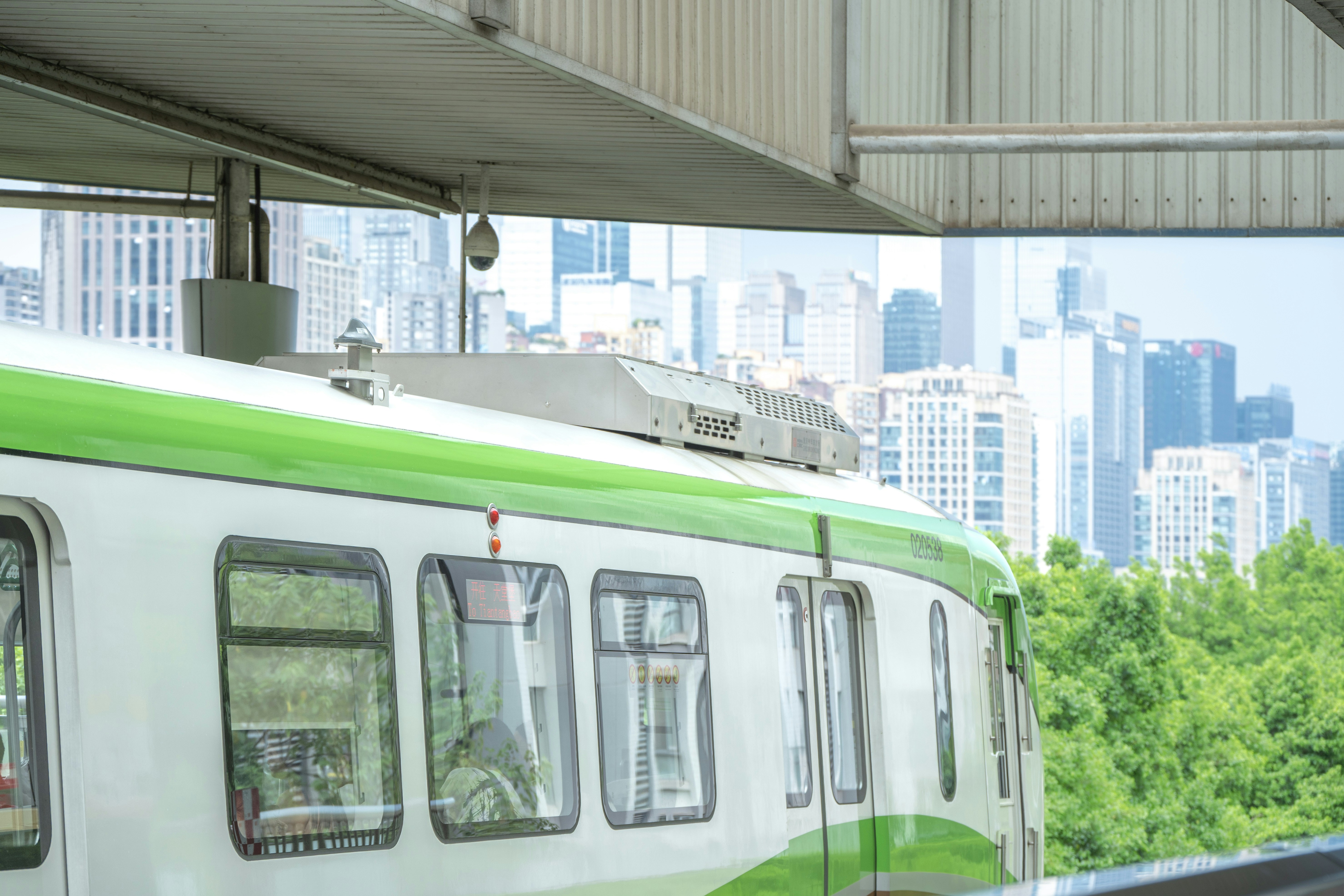 Photo by Will with Nikon Z5 II