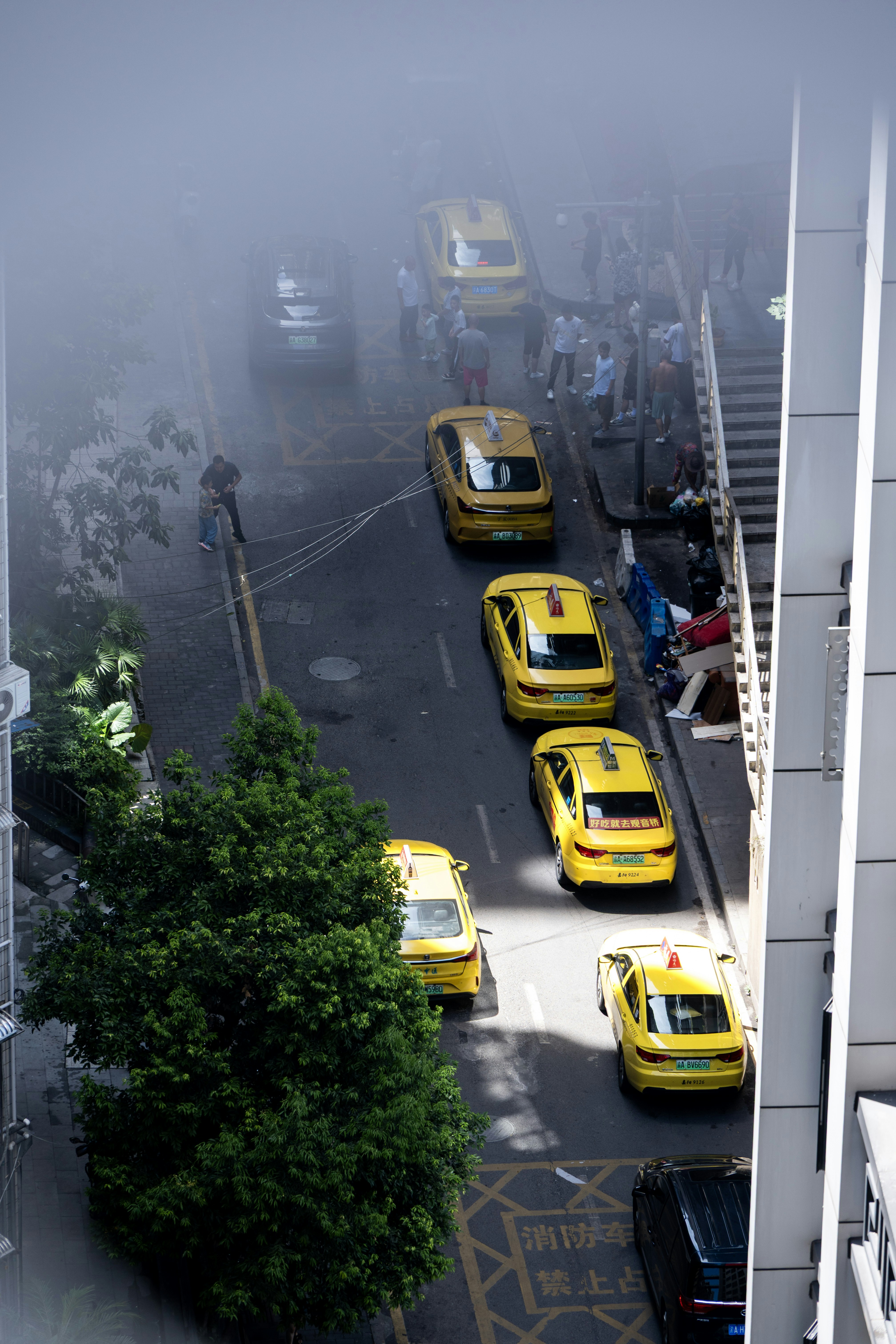 Fog Over a Parade of Yellow Taxis