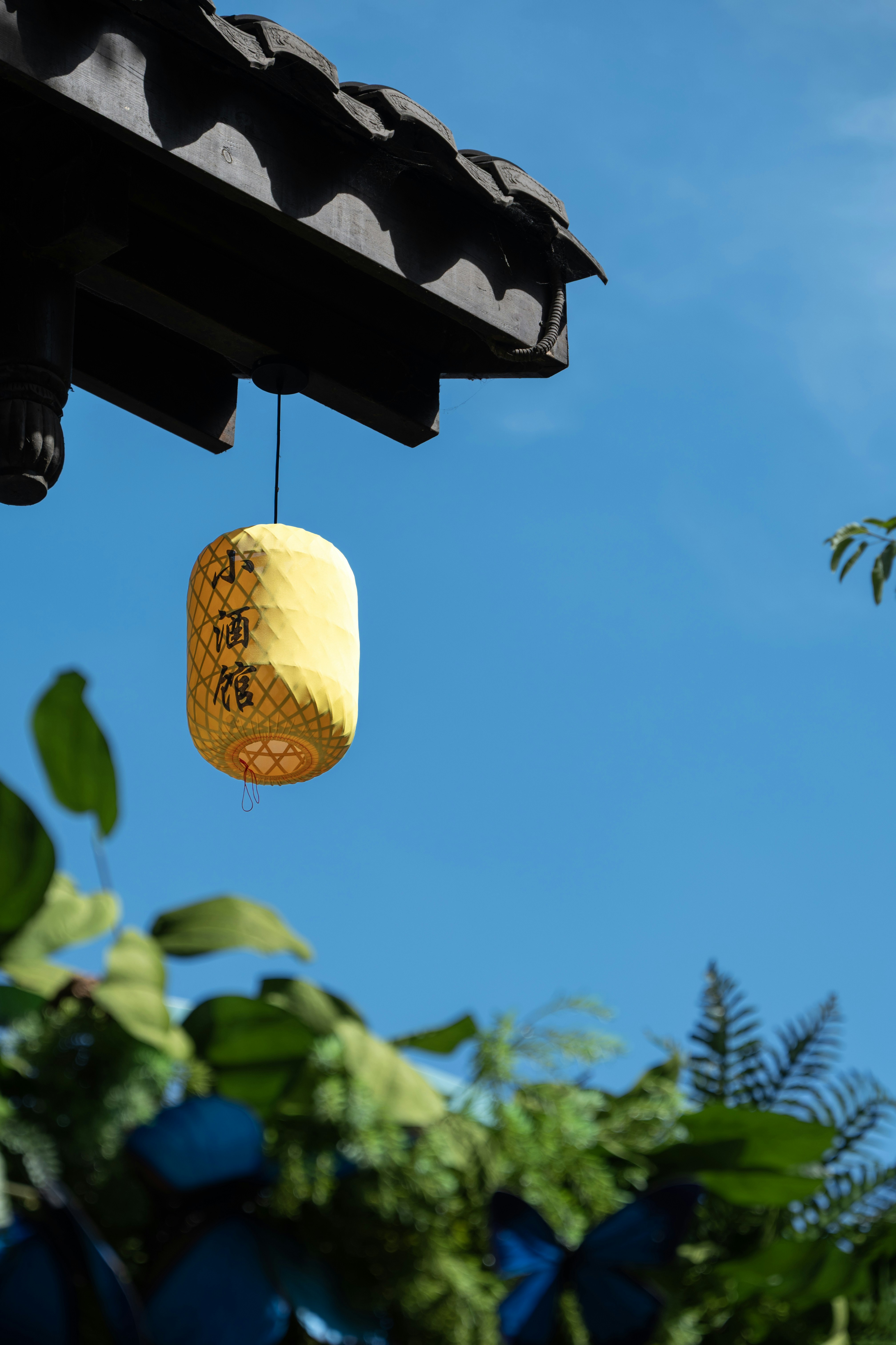 Gold Lantern on a Blue Day: Quiet Contrast Under a Traditional Roof