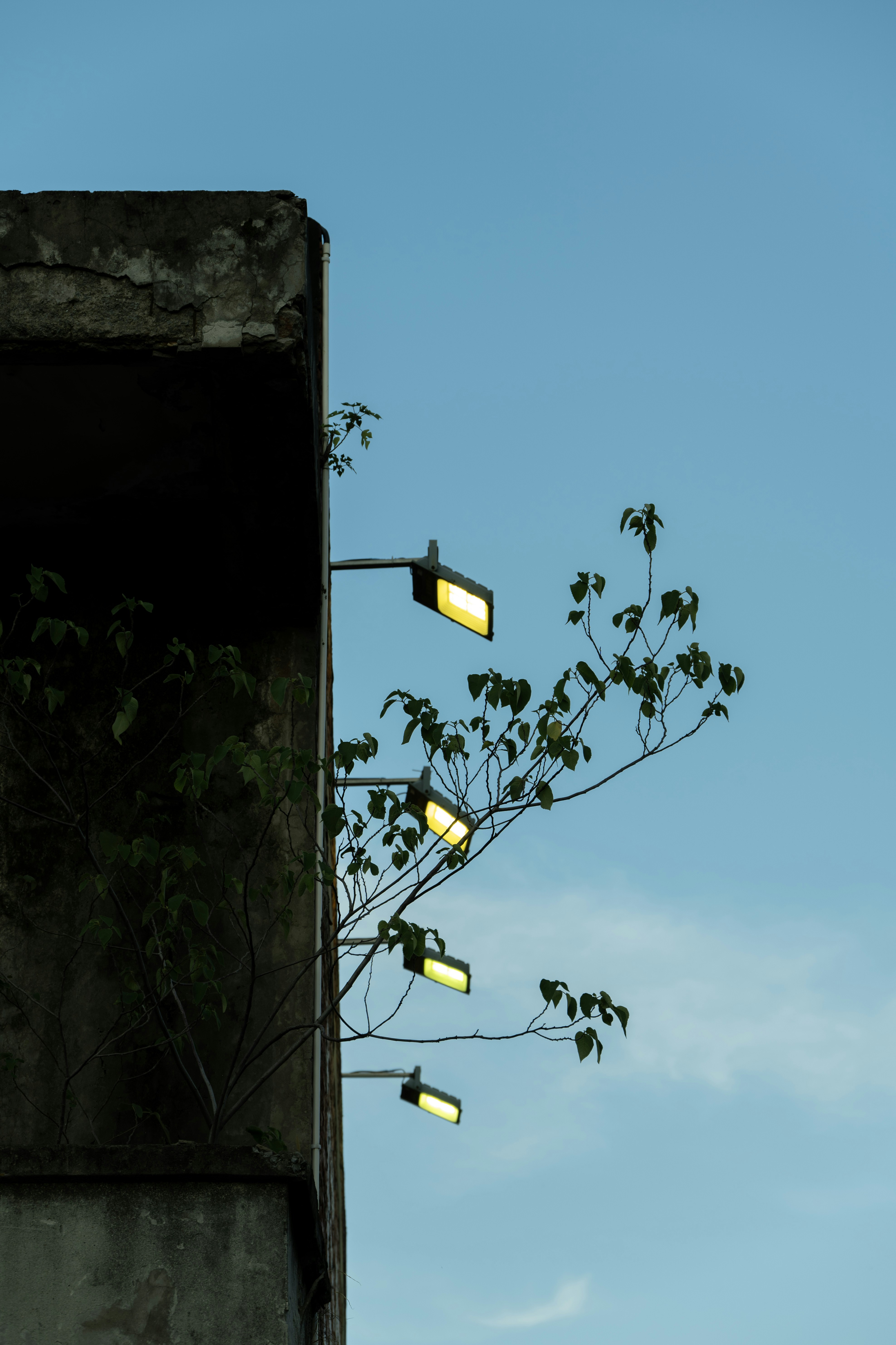 Photo by Will with Nikon Z5 II