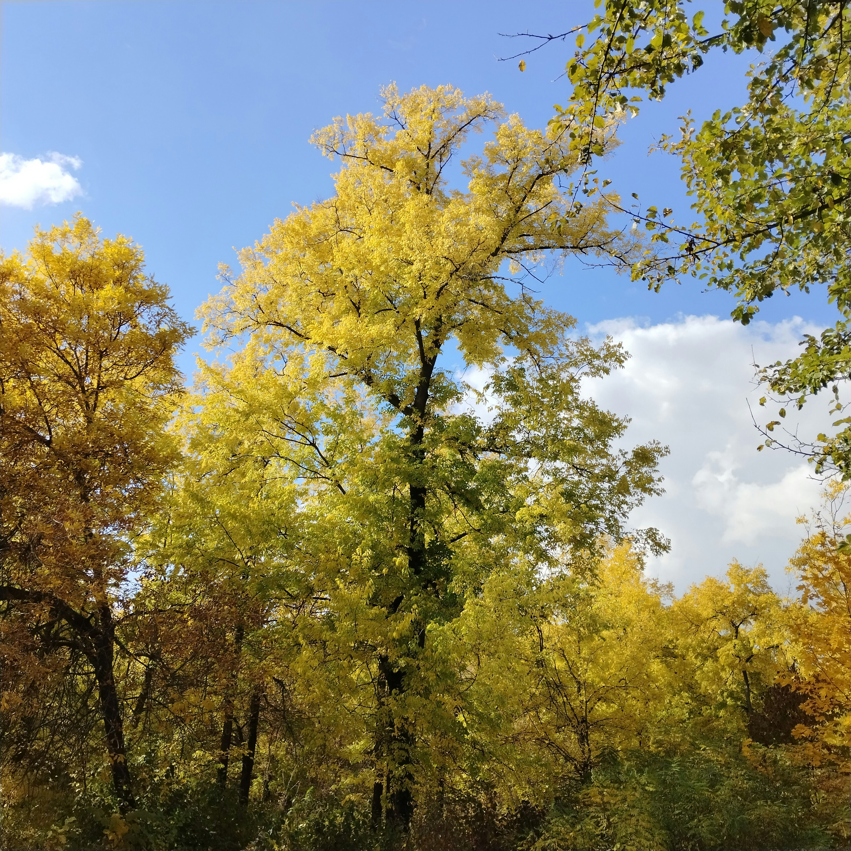 Sample photo from Vivo V29 Lite