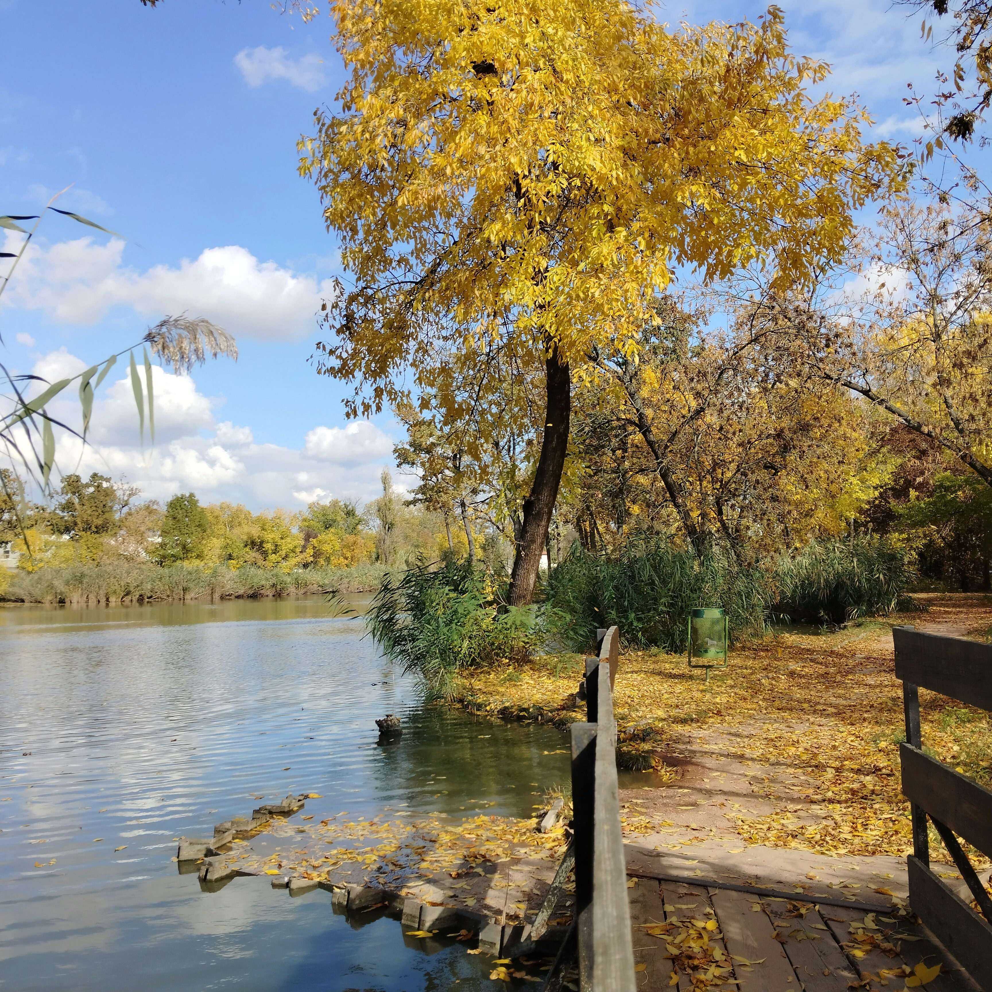 Vibrant autumn foliage mirrors in a tranquil lake, framed by a wooden walkway and lush greenery. The scene evokes a serene connection with nature.
