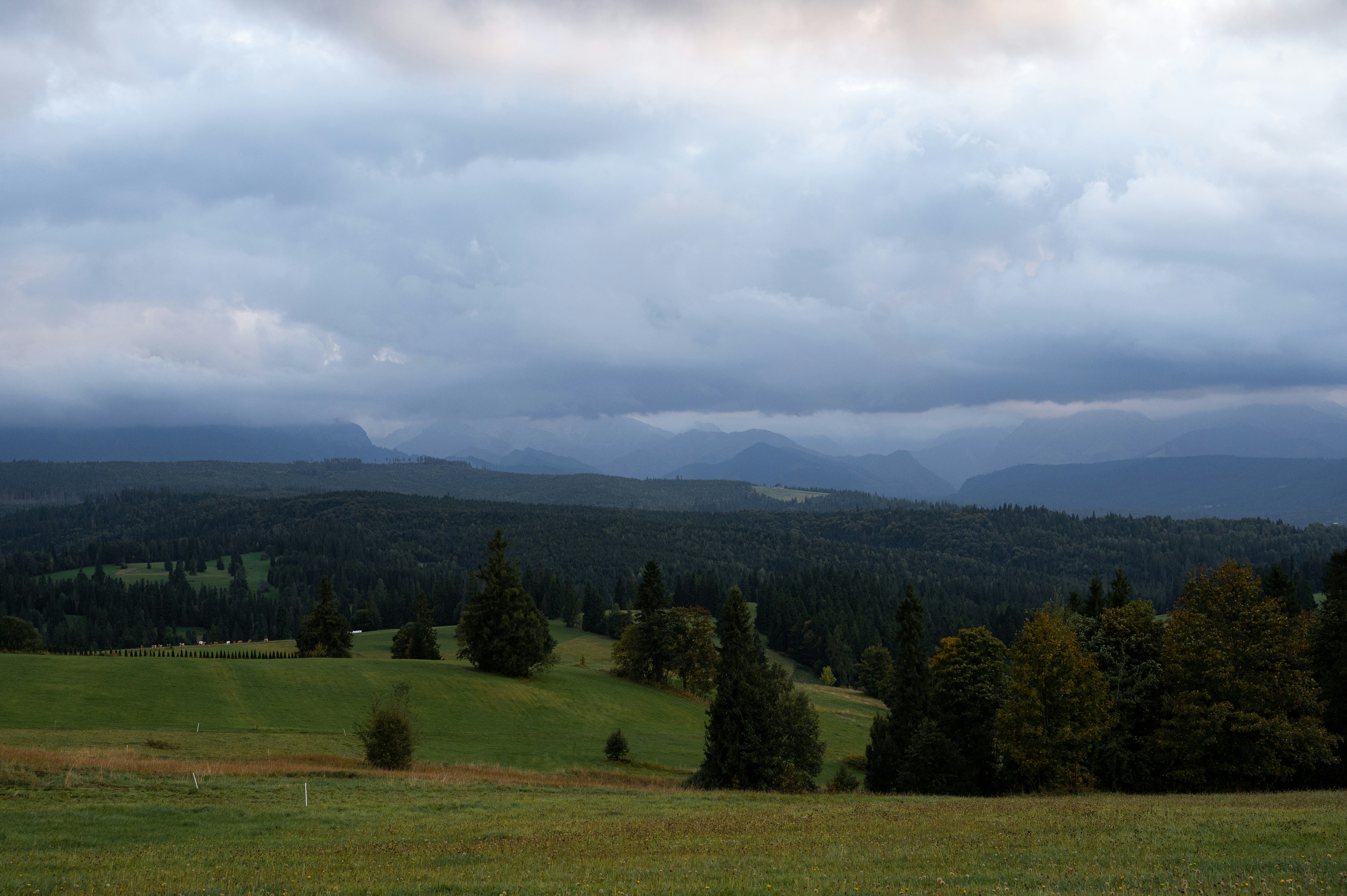 Rolling green hills with distant misty mountains