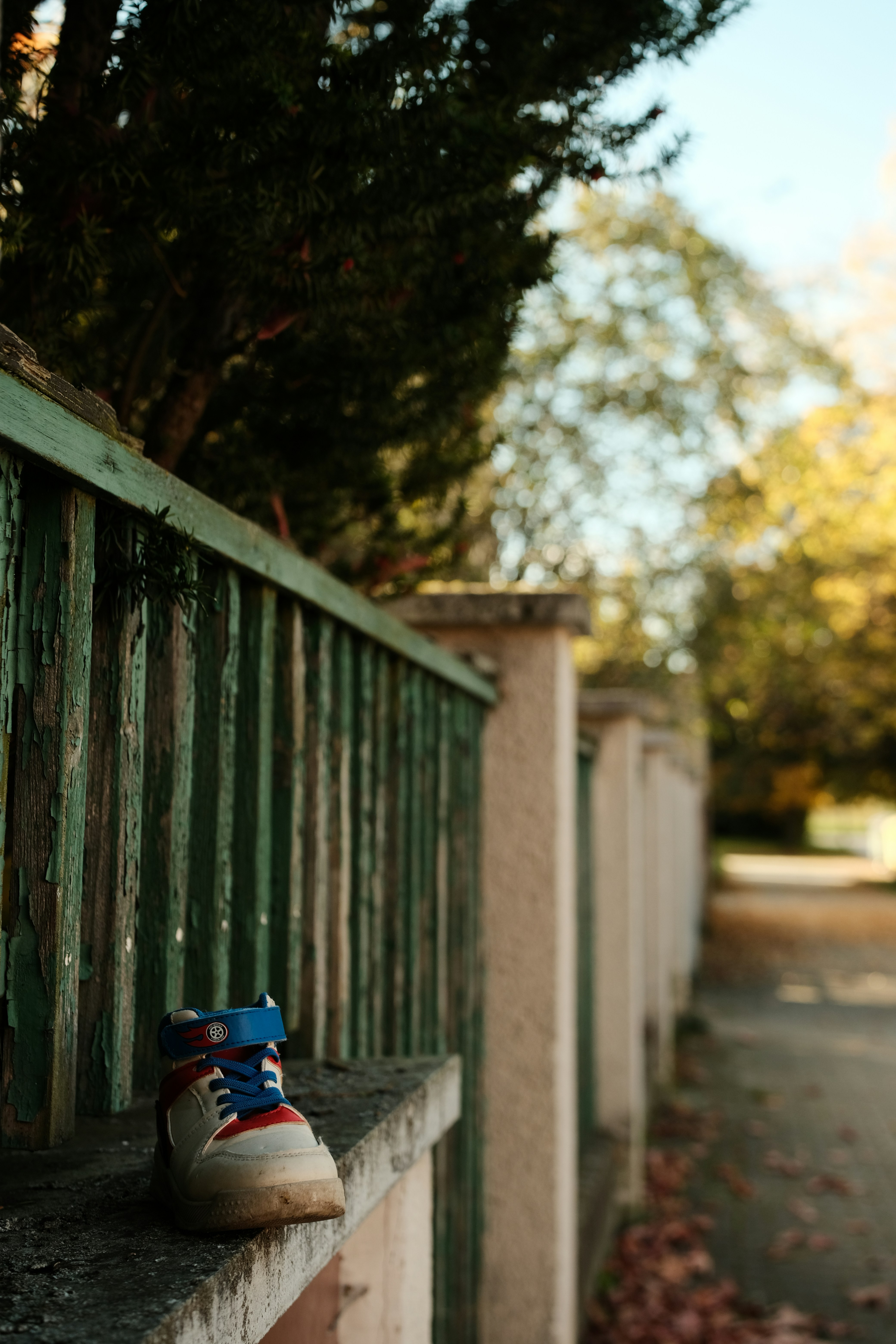 Forgotten Footsteps: A Childhood Memory on the Fence