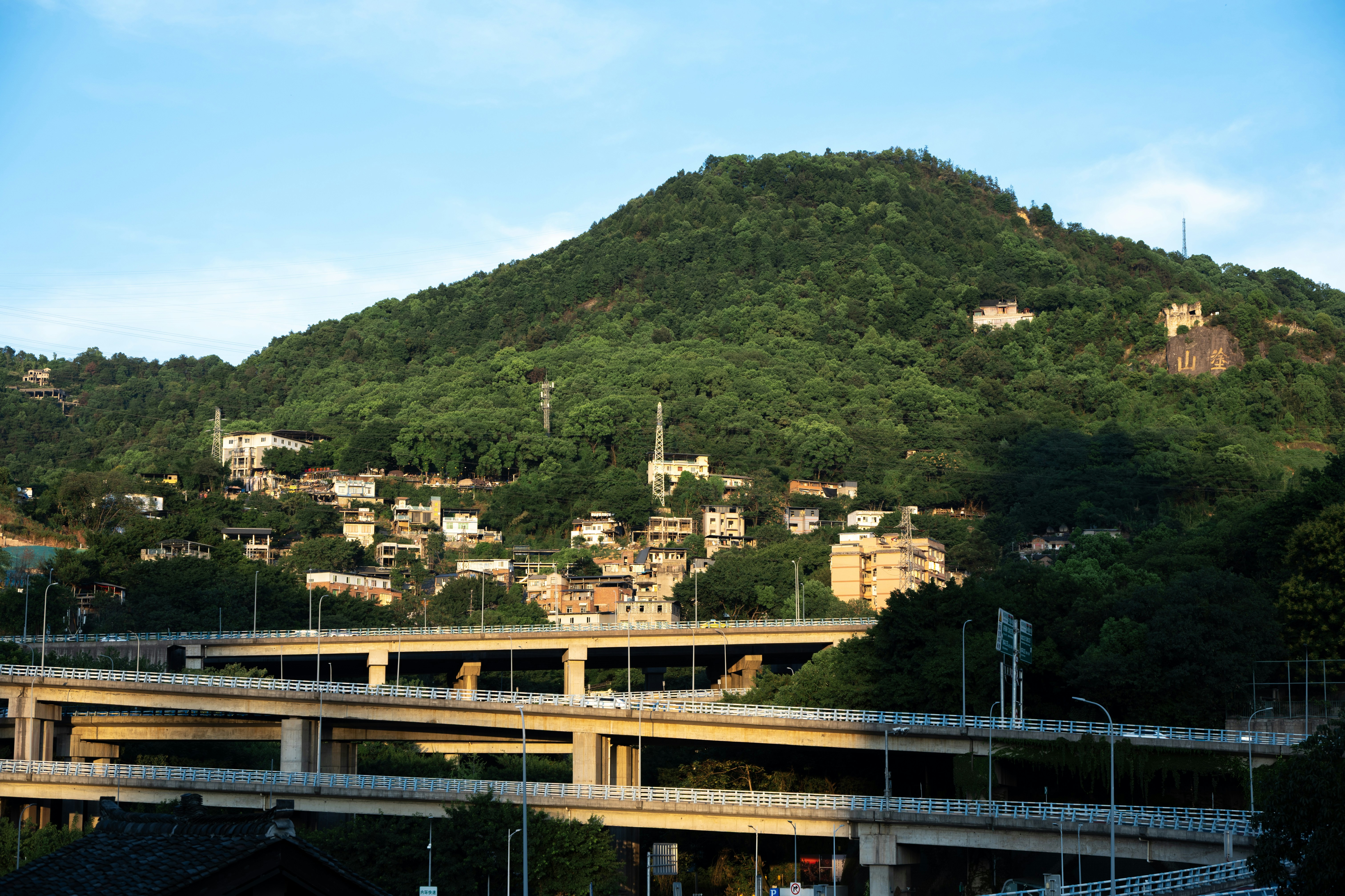 Photo by Will with Nikon Z5 II