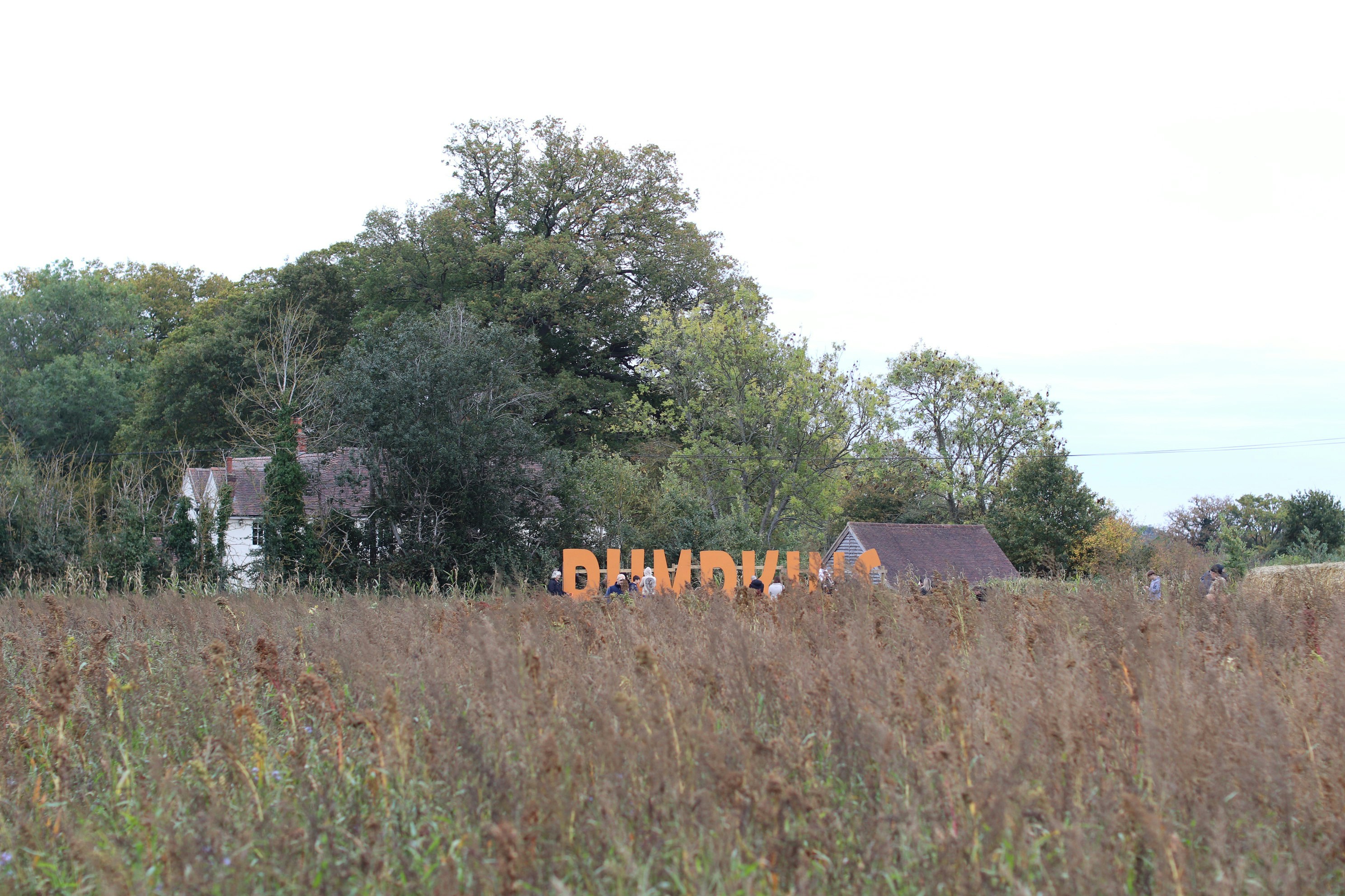 A rustic homestead nestled among trees, with a prominent sign partially obscured by tall grasses. The scene evokes a serene autumn atmosphere.