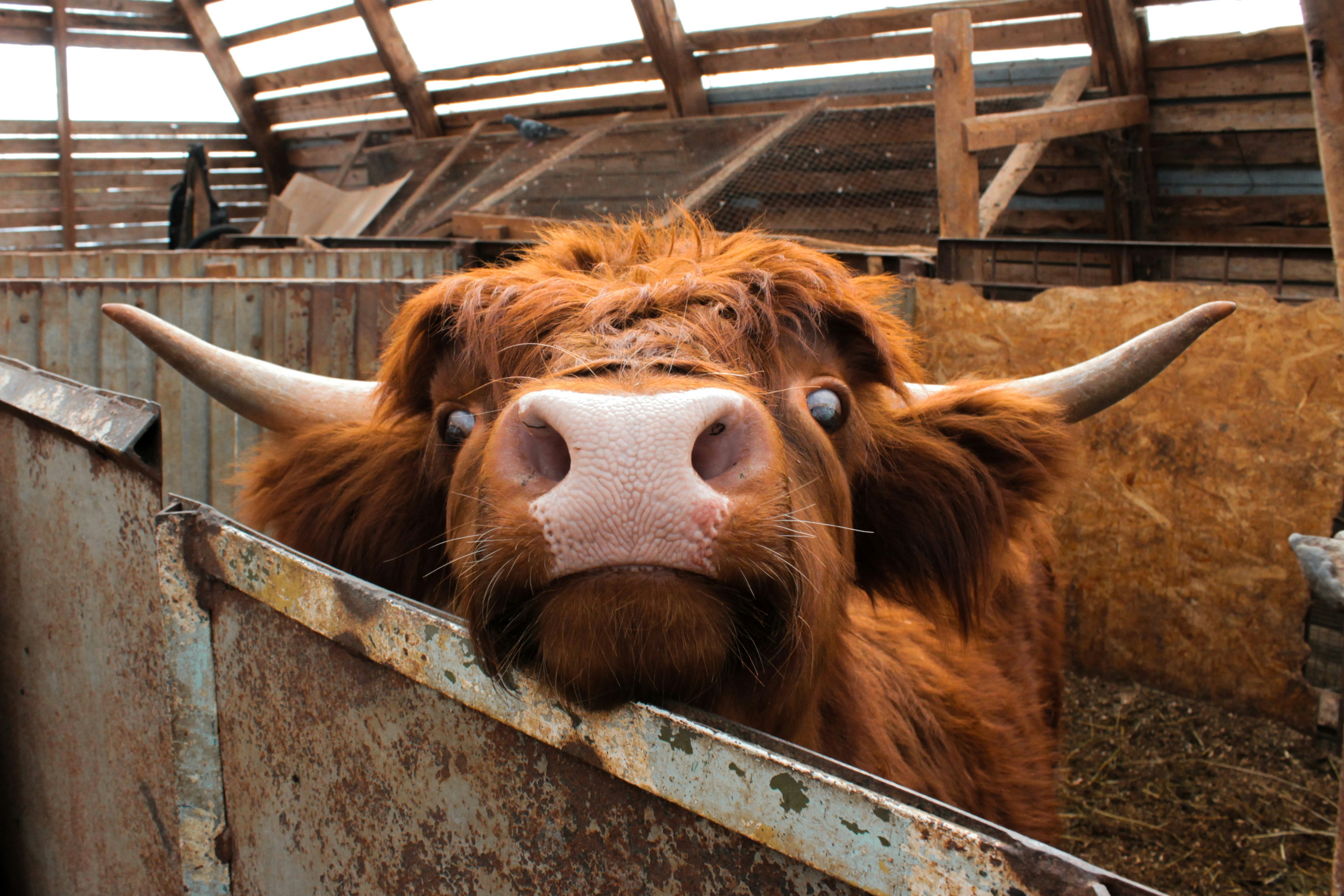 Photo by Валентина Вехкалахти with Canon EOS 1100D