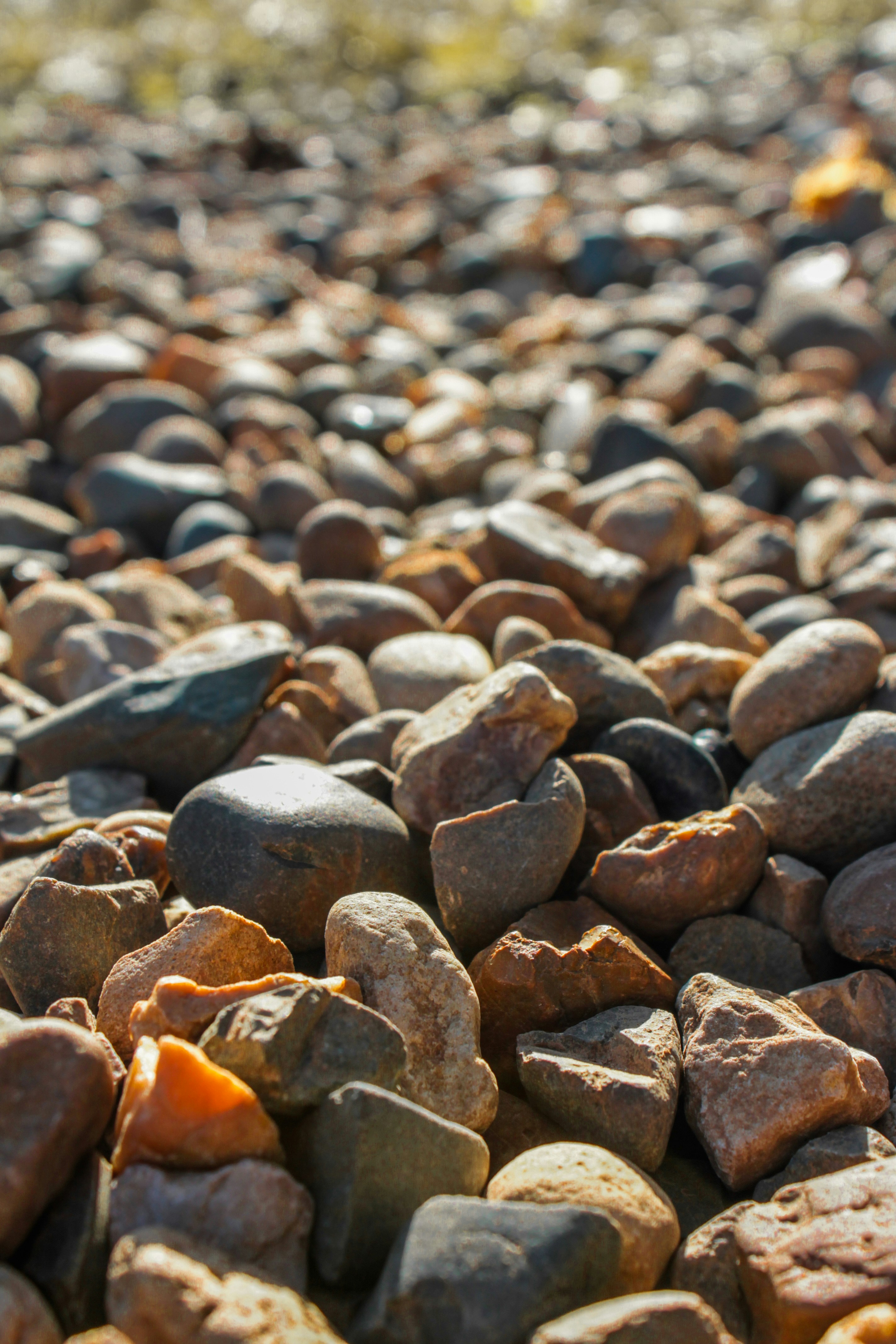 Sunlit Pebble Mosaic: A Close-Up Field of River Stones