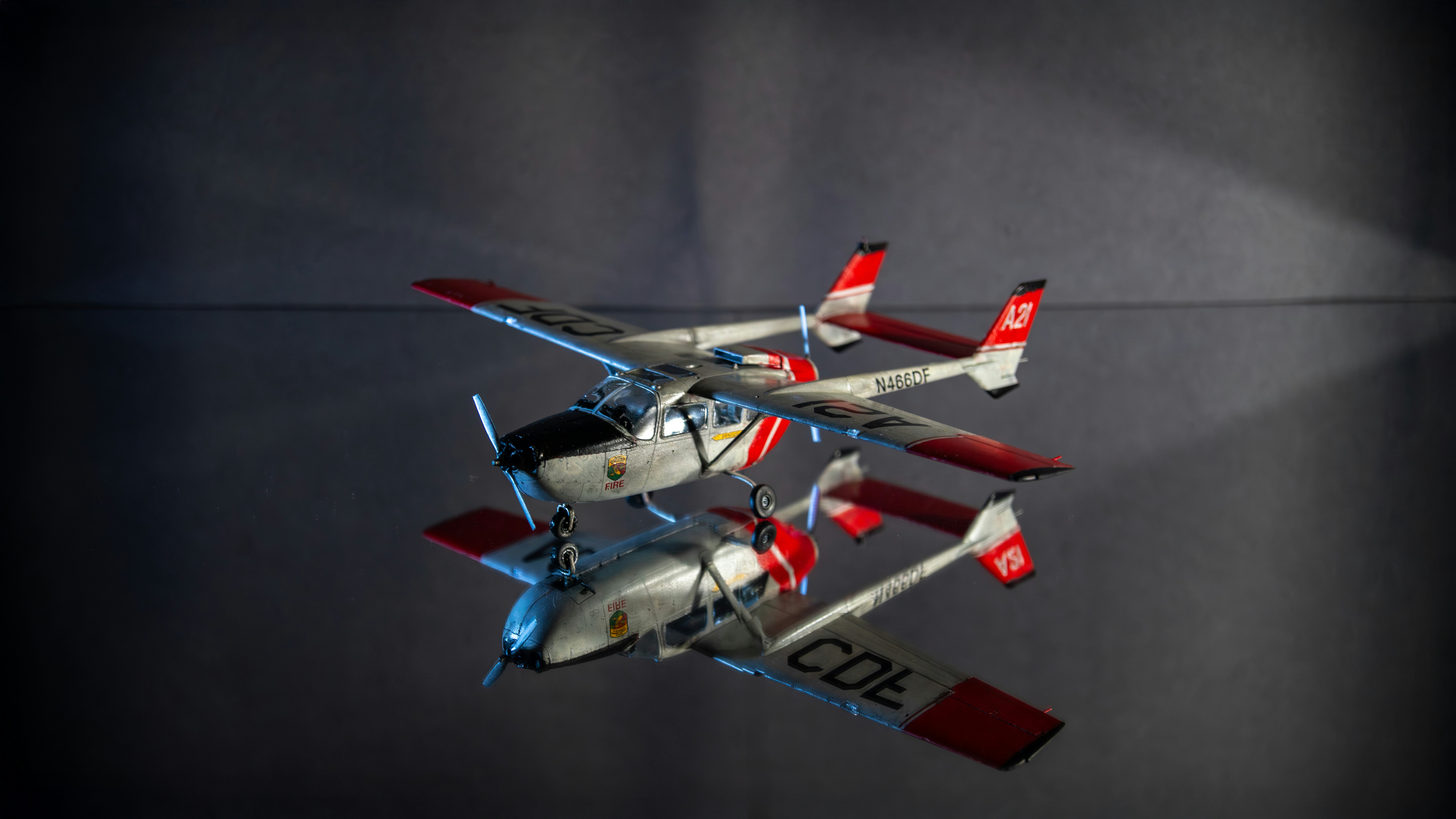 Reflective Flight: A Model's Journey