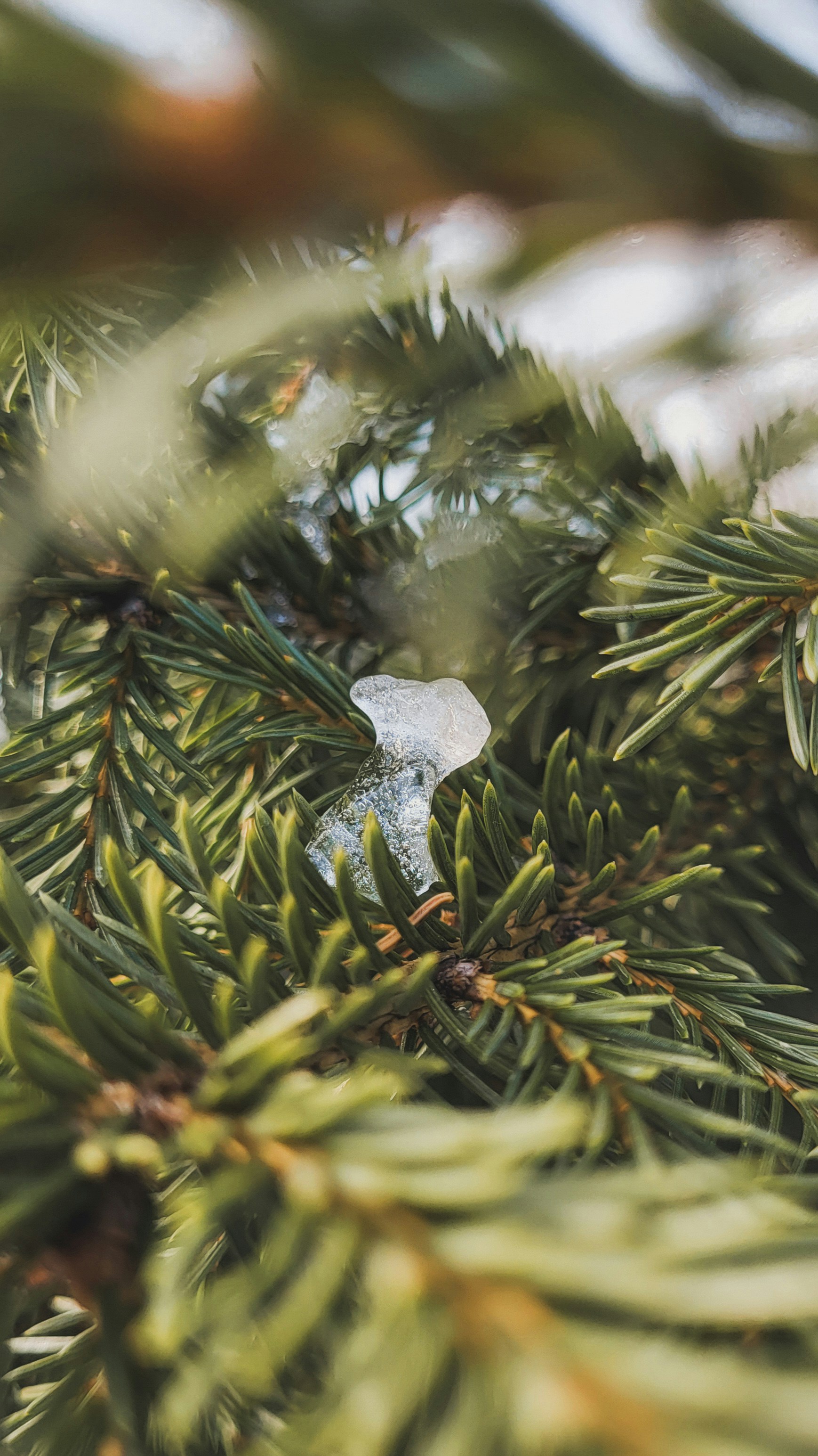 Photo by Loa Kon with Samsung Galaxy S21 FE