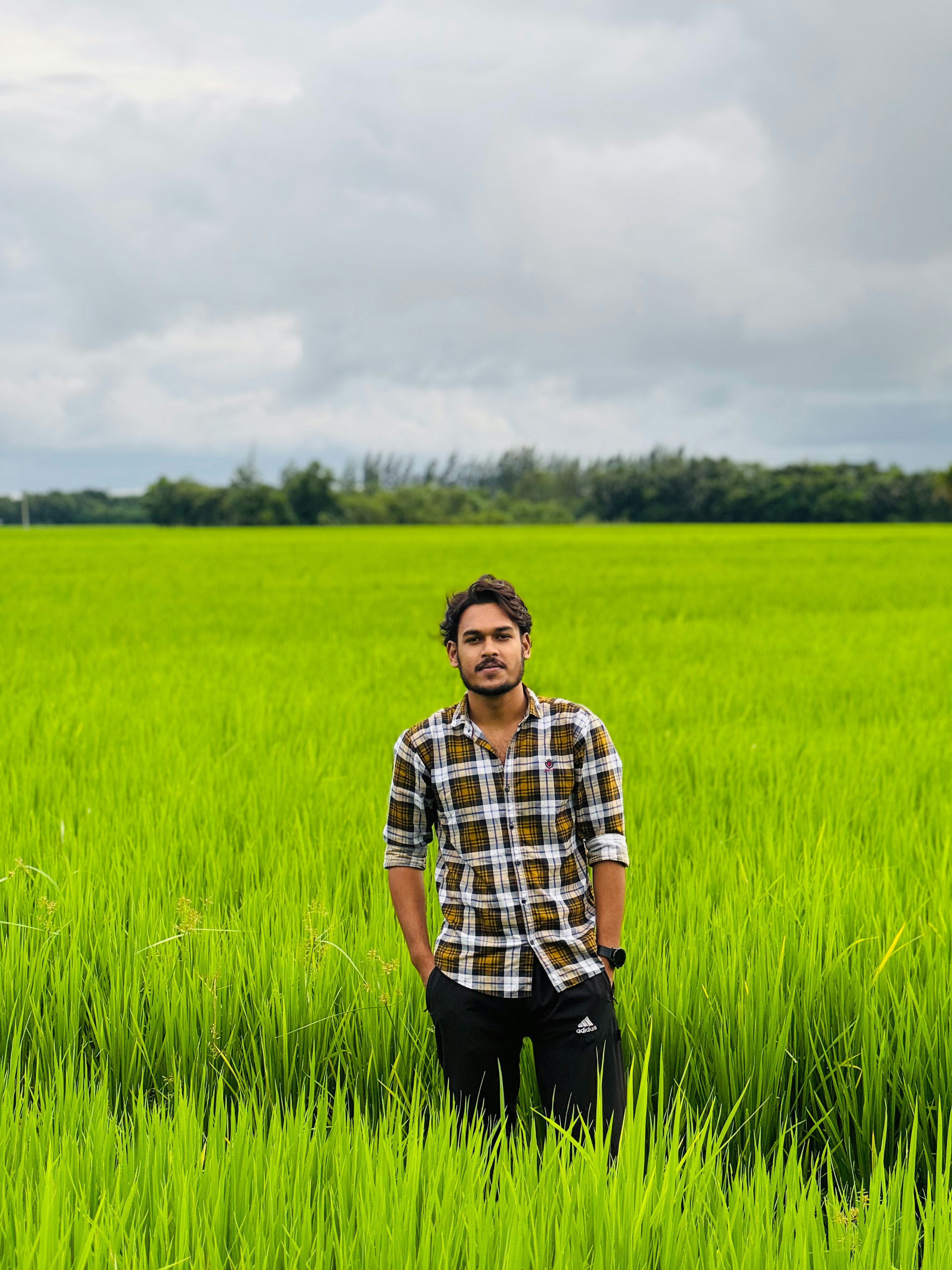 A young man stands confidently in a vibrant rice field, surrounded by lush green stalks under a cloudy sky.