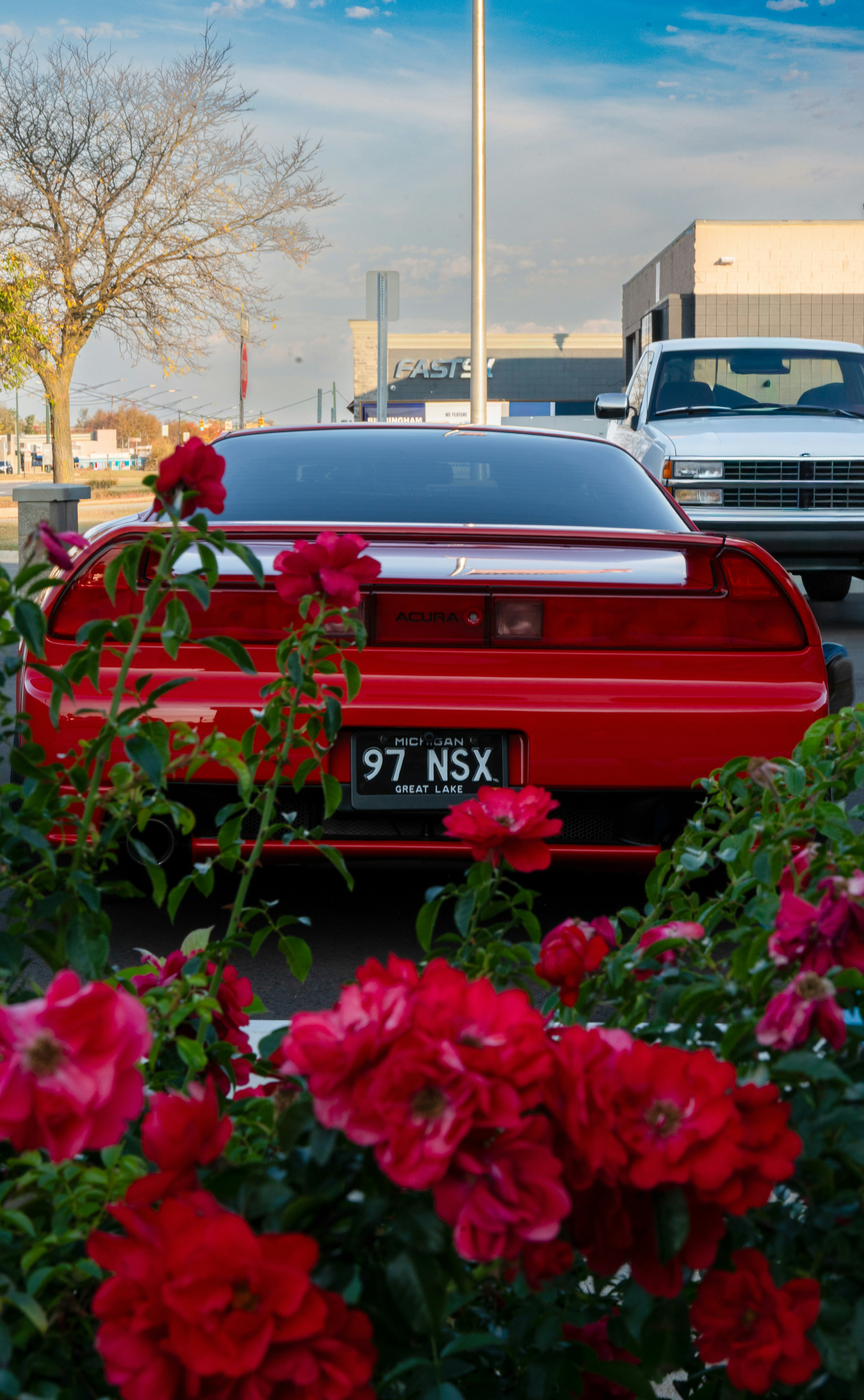 Crimson NSX Framed by Garden Roses in a Quiet Parking Lot