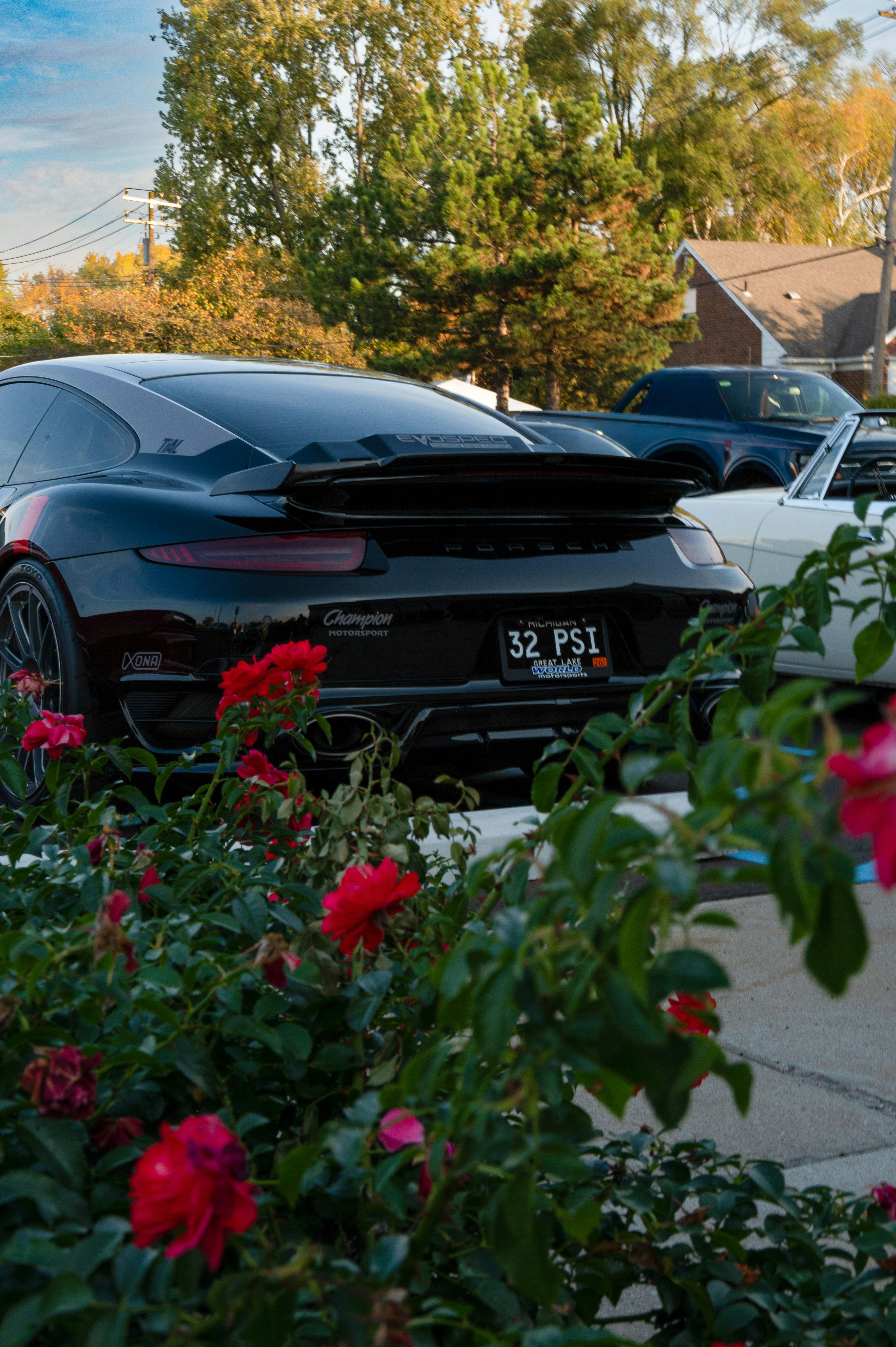 Noir Porsche Tail Lights Amid Garden Roses at Dusk