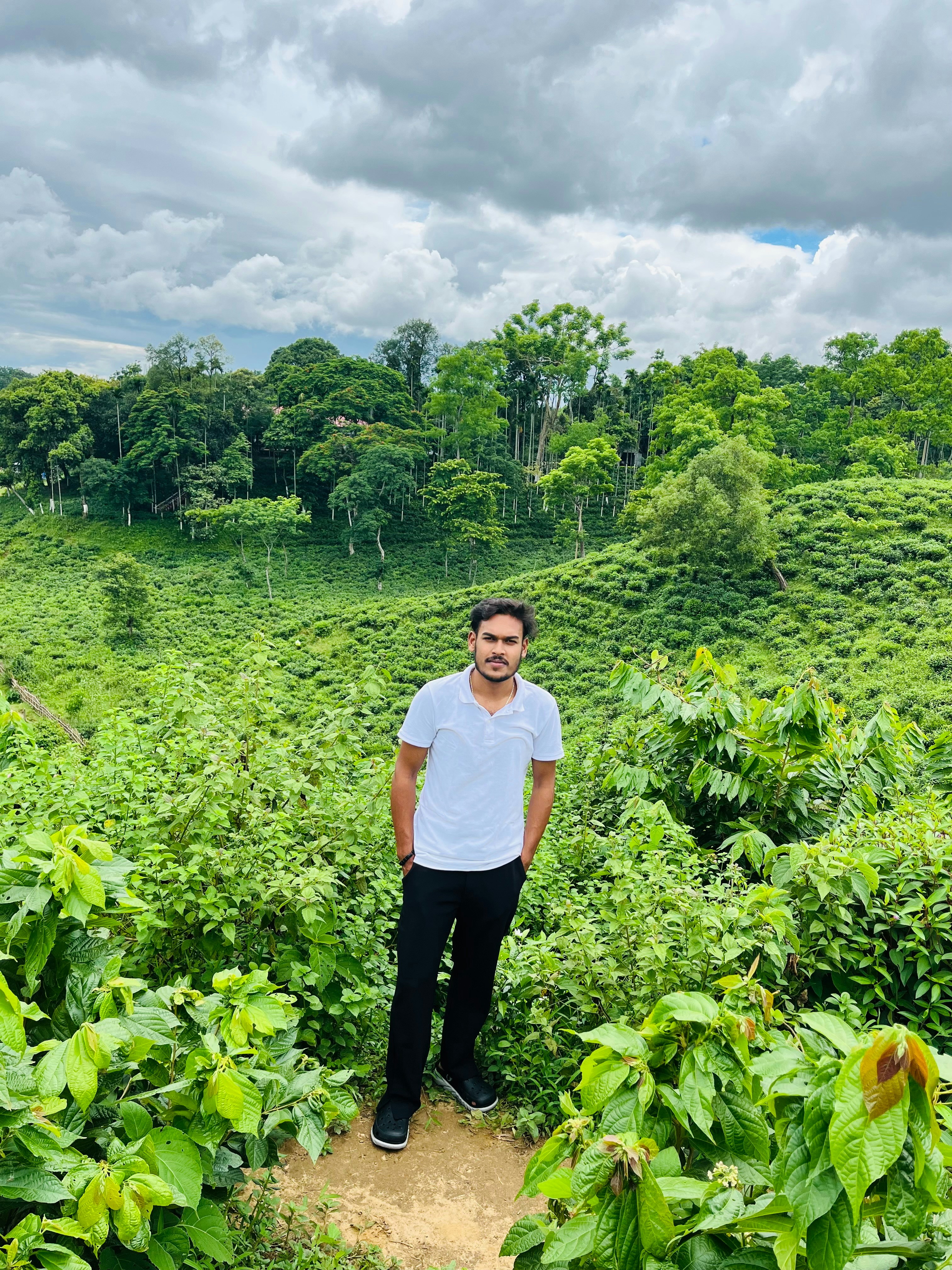 Verdant Serenity: Embracing Nature's Embrace