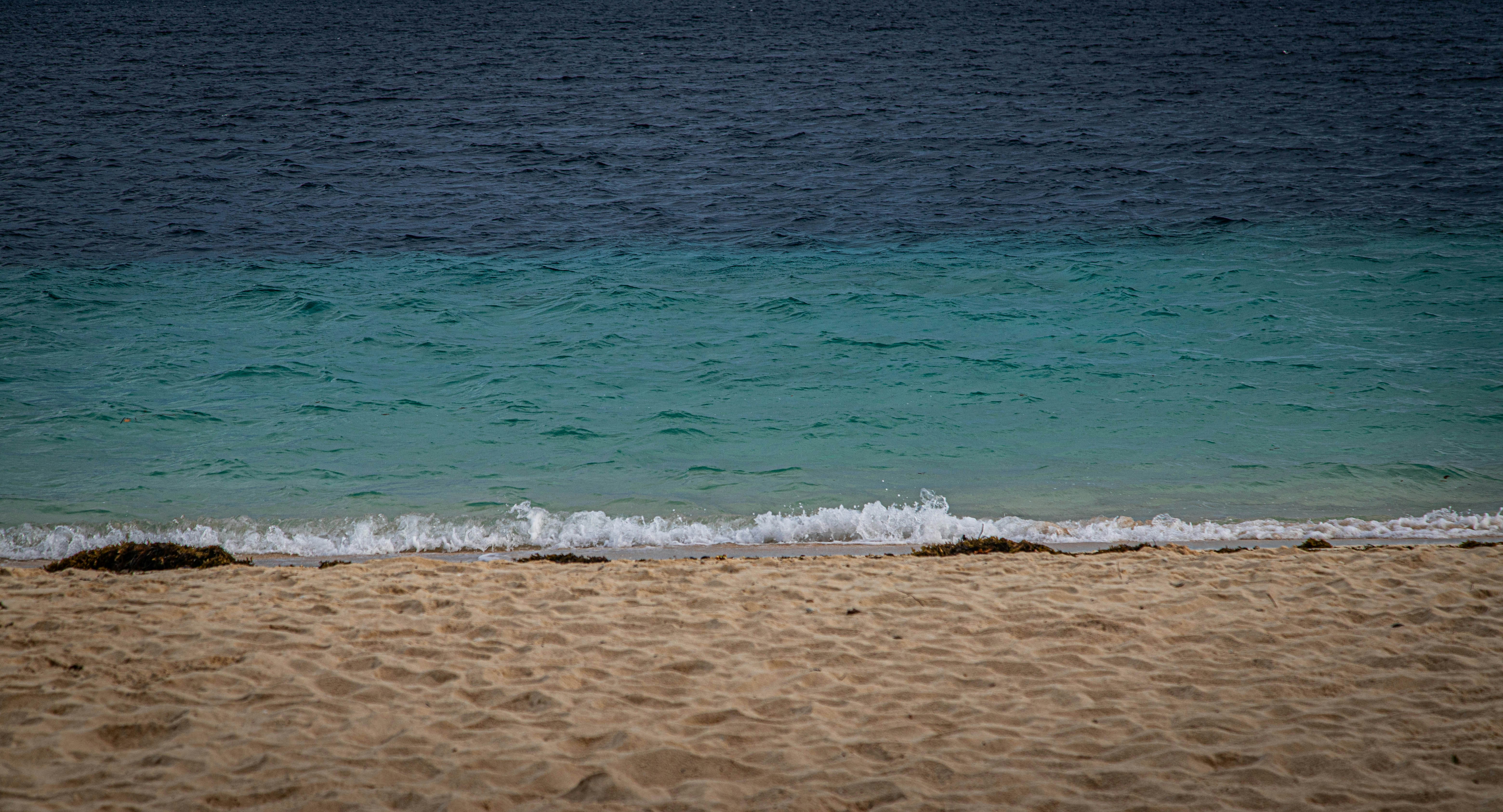 Tidal Embrace: Where Sand Meets Sea