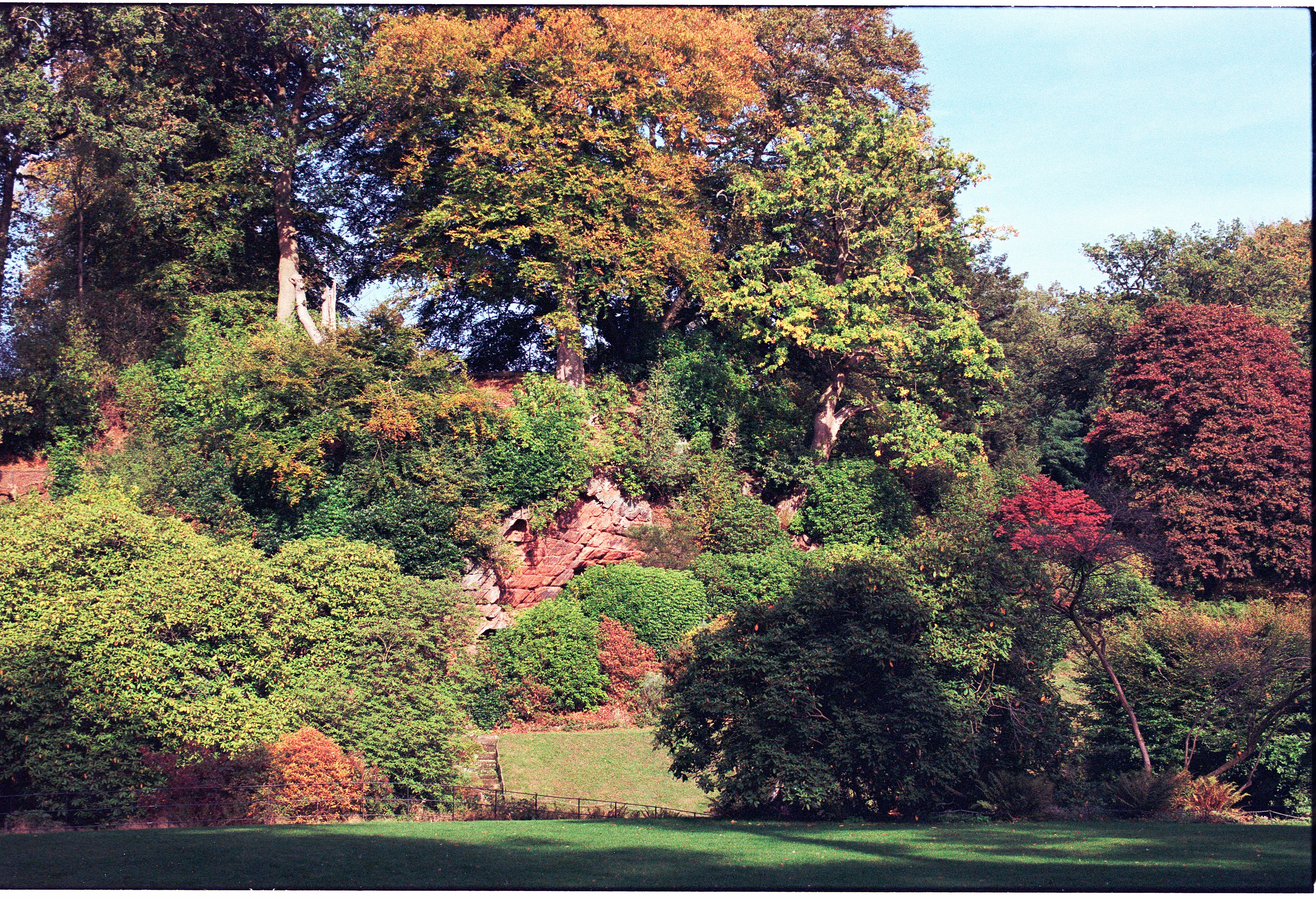 Autumn Terrace: Colorful Slopes Amid a Quiet Garden