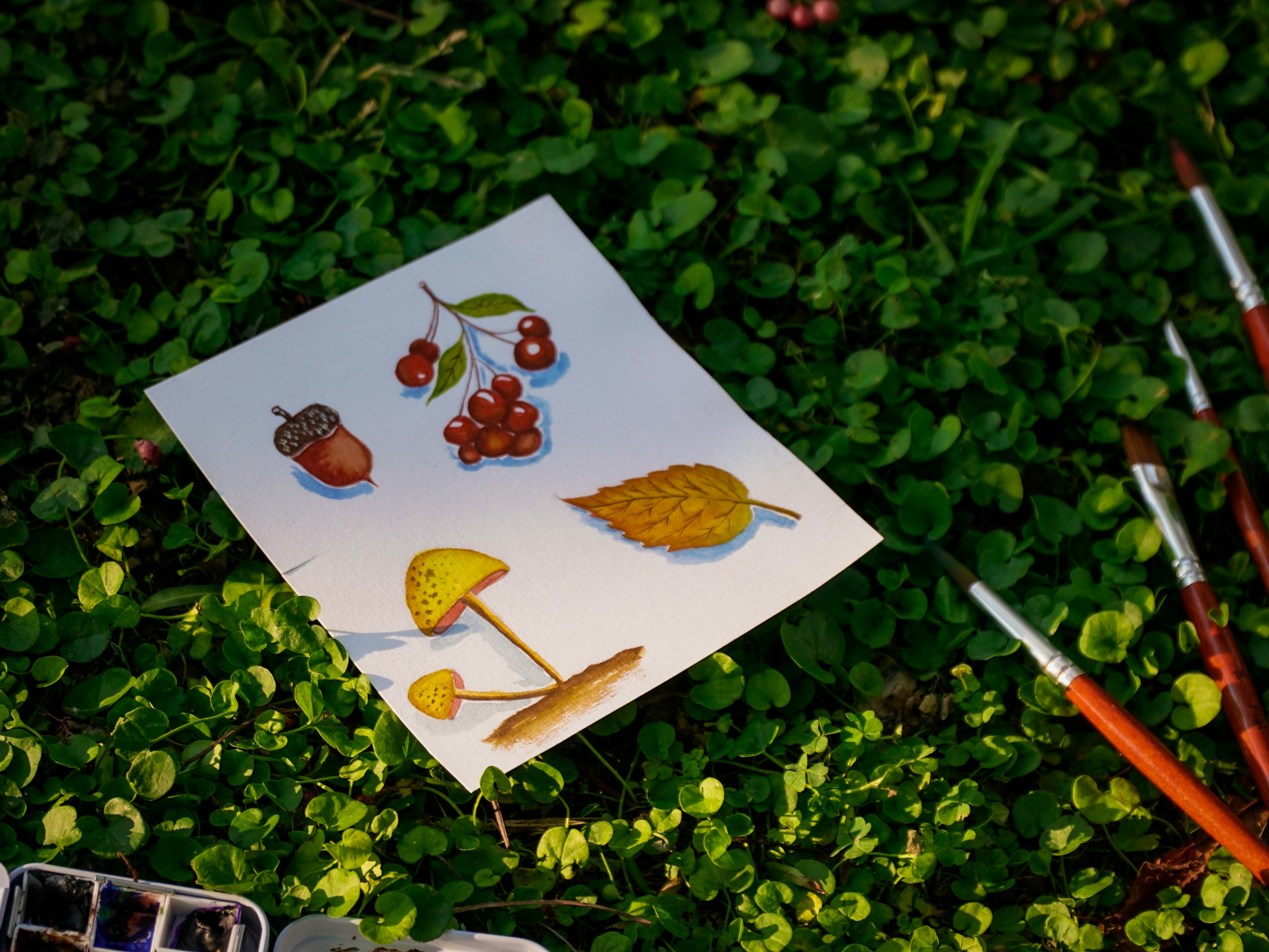 Watercolor paintings of autumn elements on paper