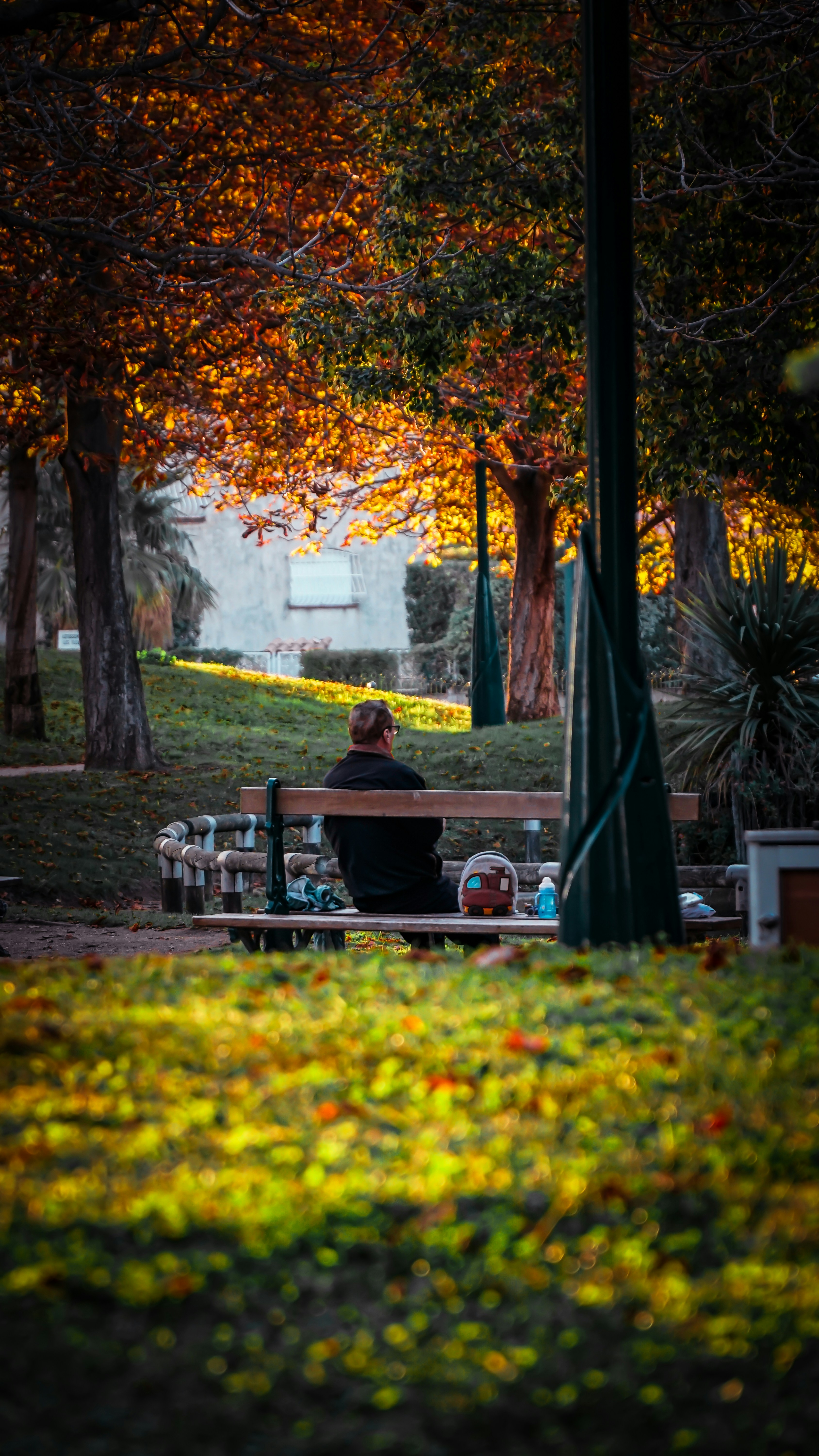 Amber Canopy, Quiet Bench: A Moment in Fall Light